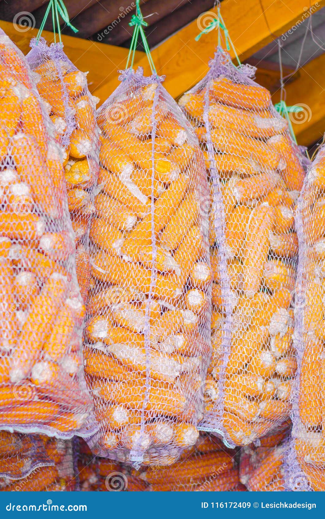 Raw corn seed in sack stock image. Image of ingredient - 116172409