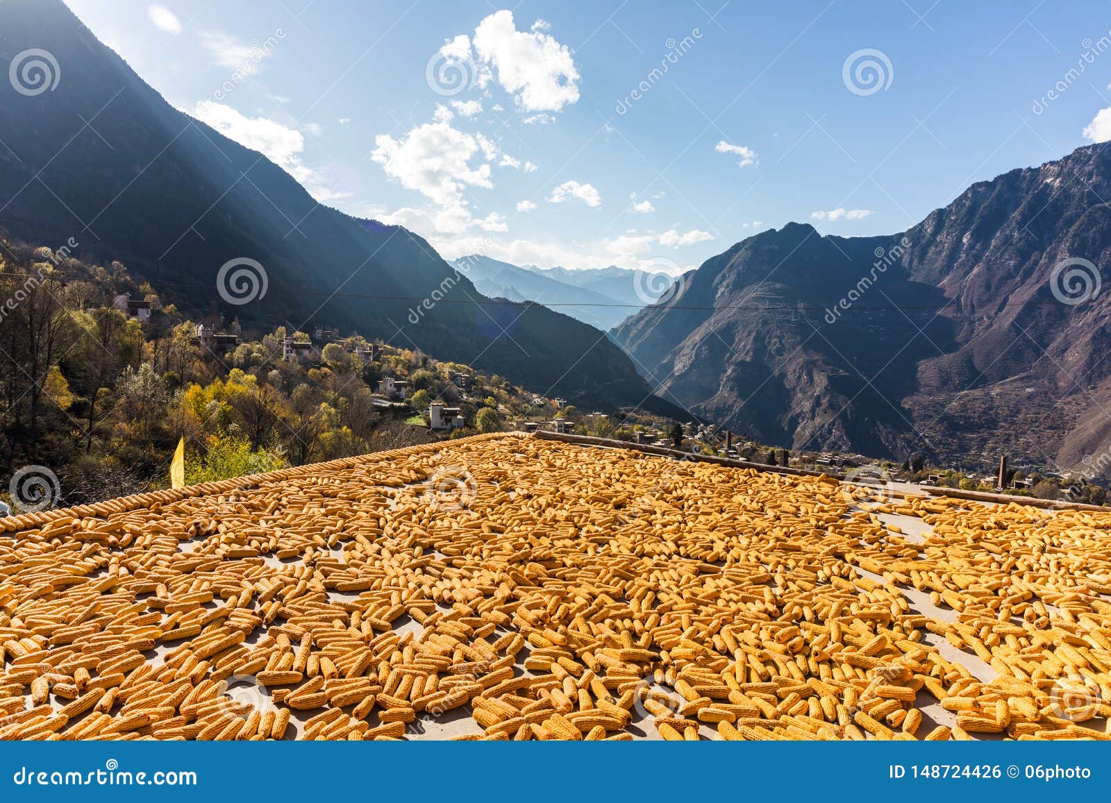 Corn Drying on Roof on Building in Sichuan China Stock Photo - Image of ...