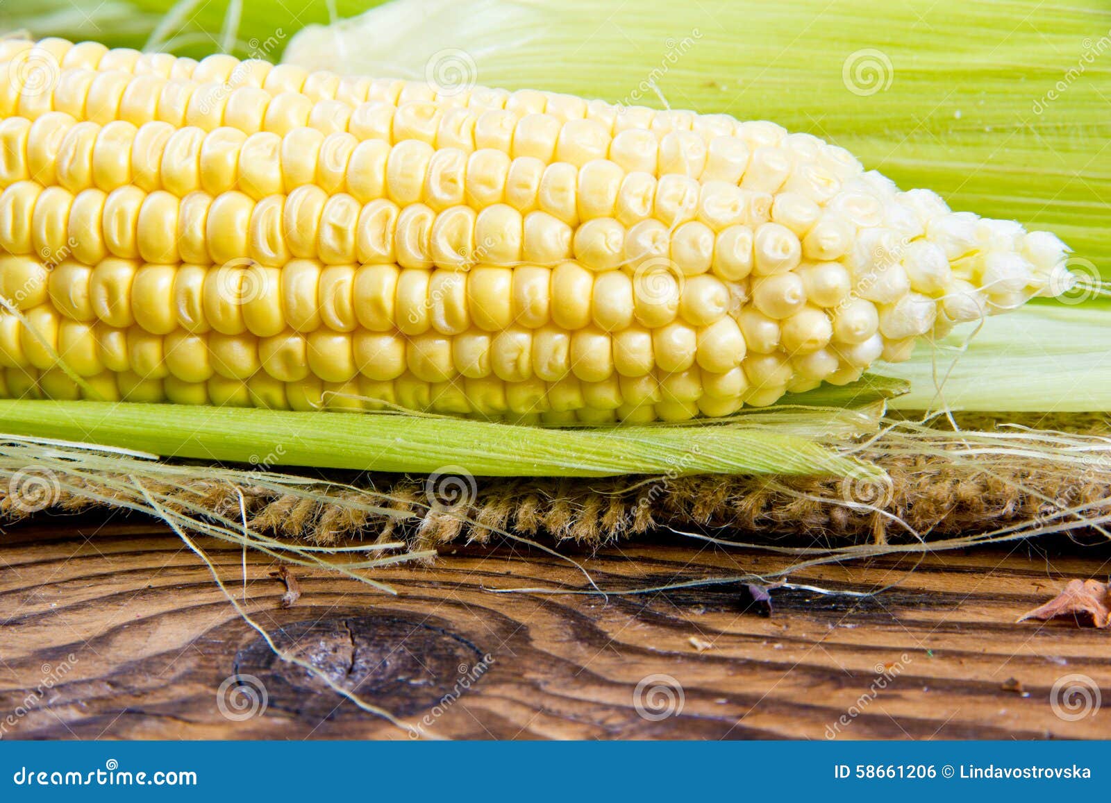 Corn ear stock photo. Image of delicious, horizontal - 58661206