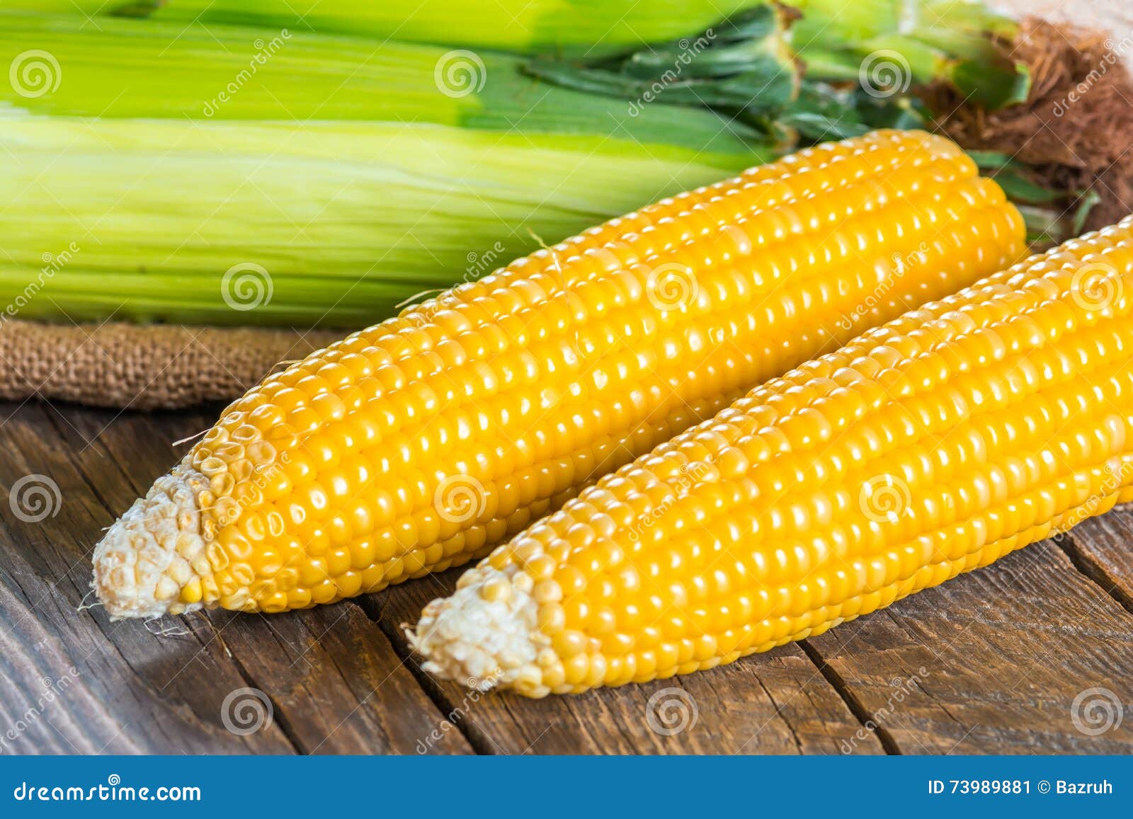 Corn ears stock image. Image of display, agriculture - 73989881