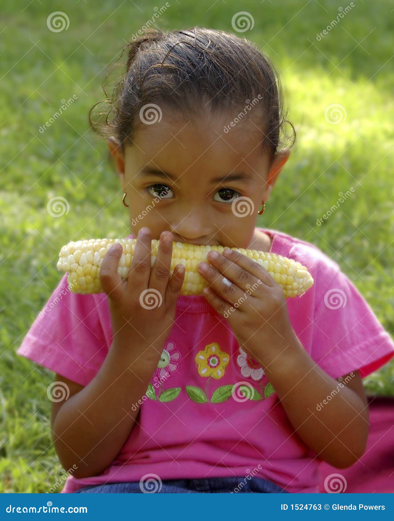 Corn Eater stock image. Image of people, picnic, fall - 1524763
