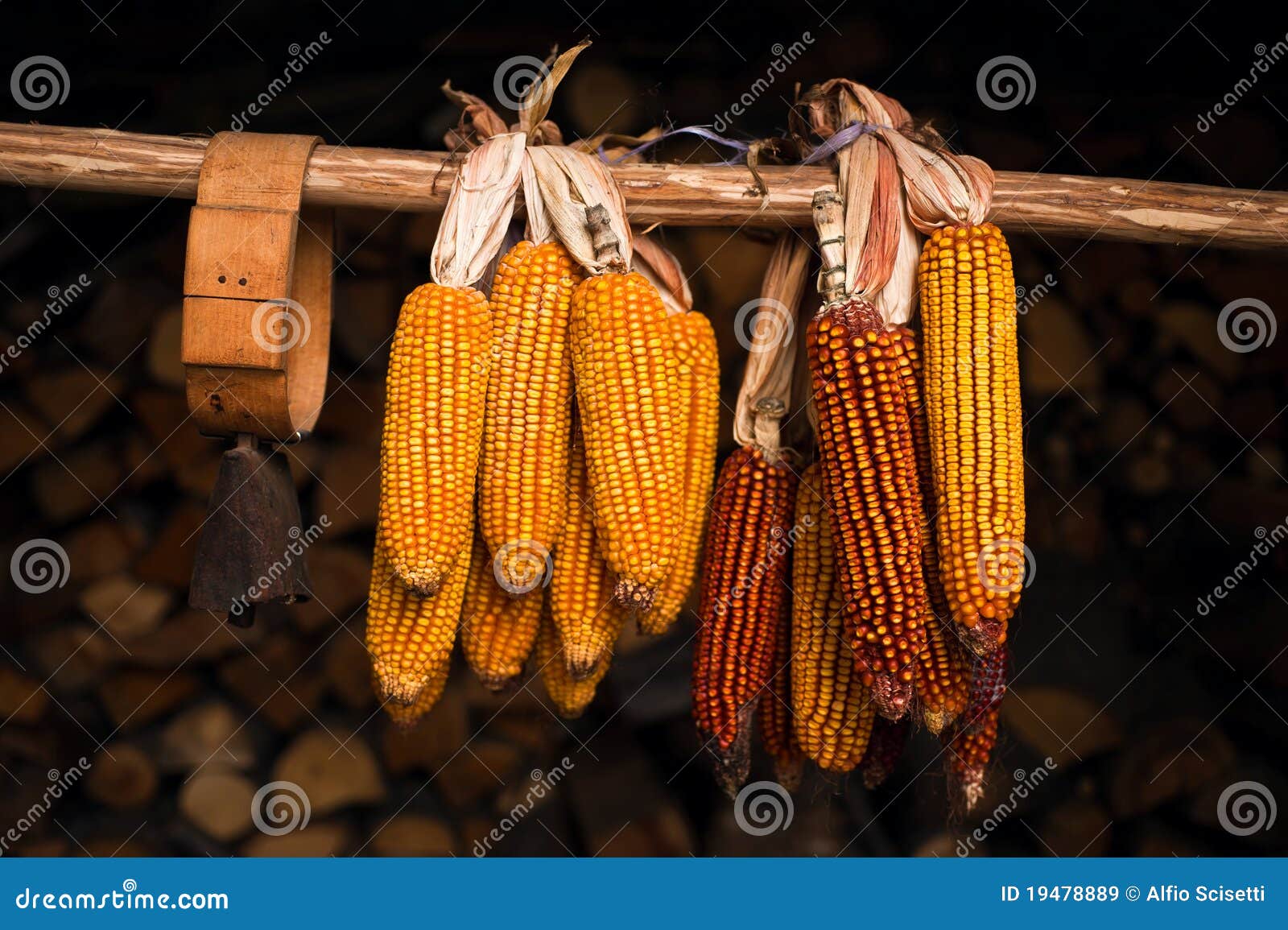 Corn end bell stock image. Image of collar, panicles - 19478889