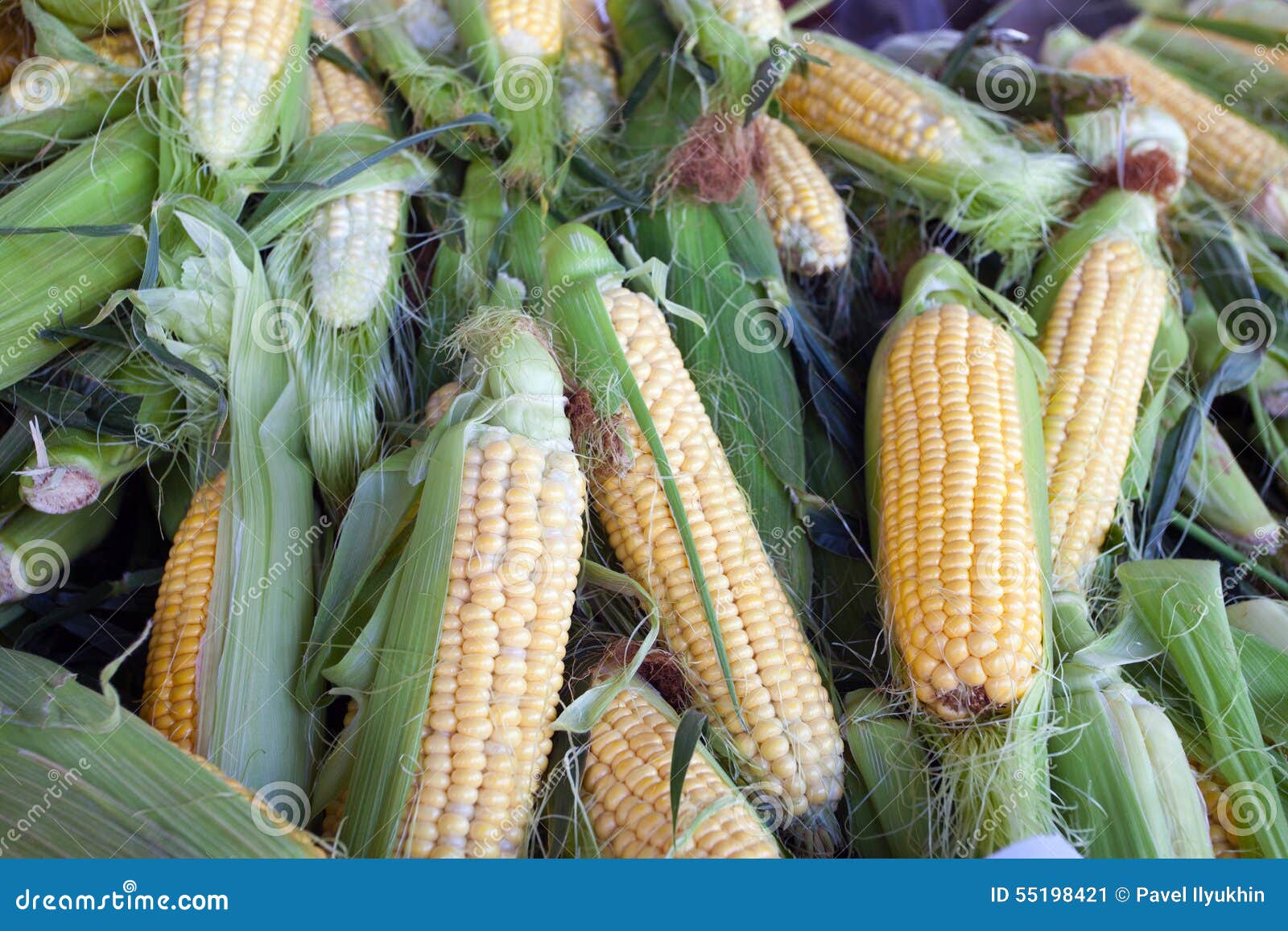 Corn at farmers market stock image. Image of grain, natural - 55198421