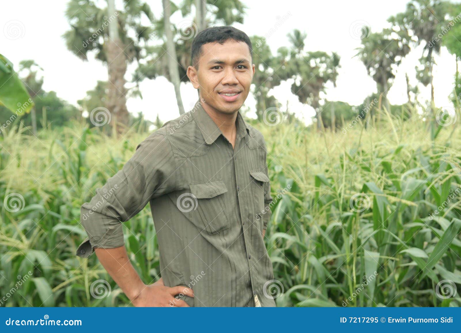 Corn Farming in Good Feeling Stock Image - Image of agriculture ...
