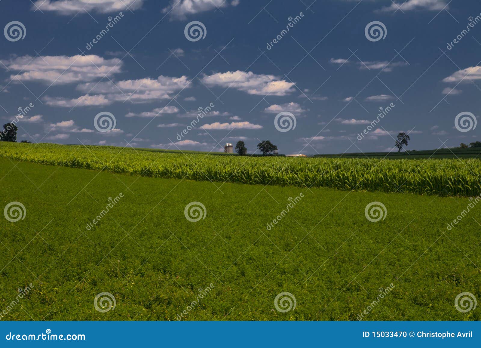 Corn Field stock photo. Image of pennsylvania, mission - 15033470