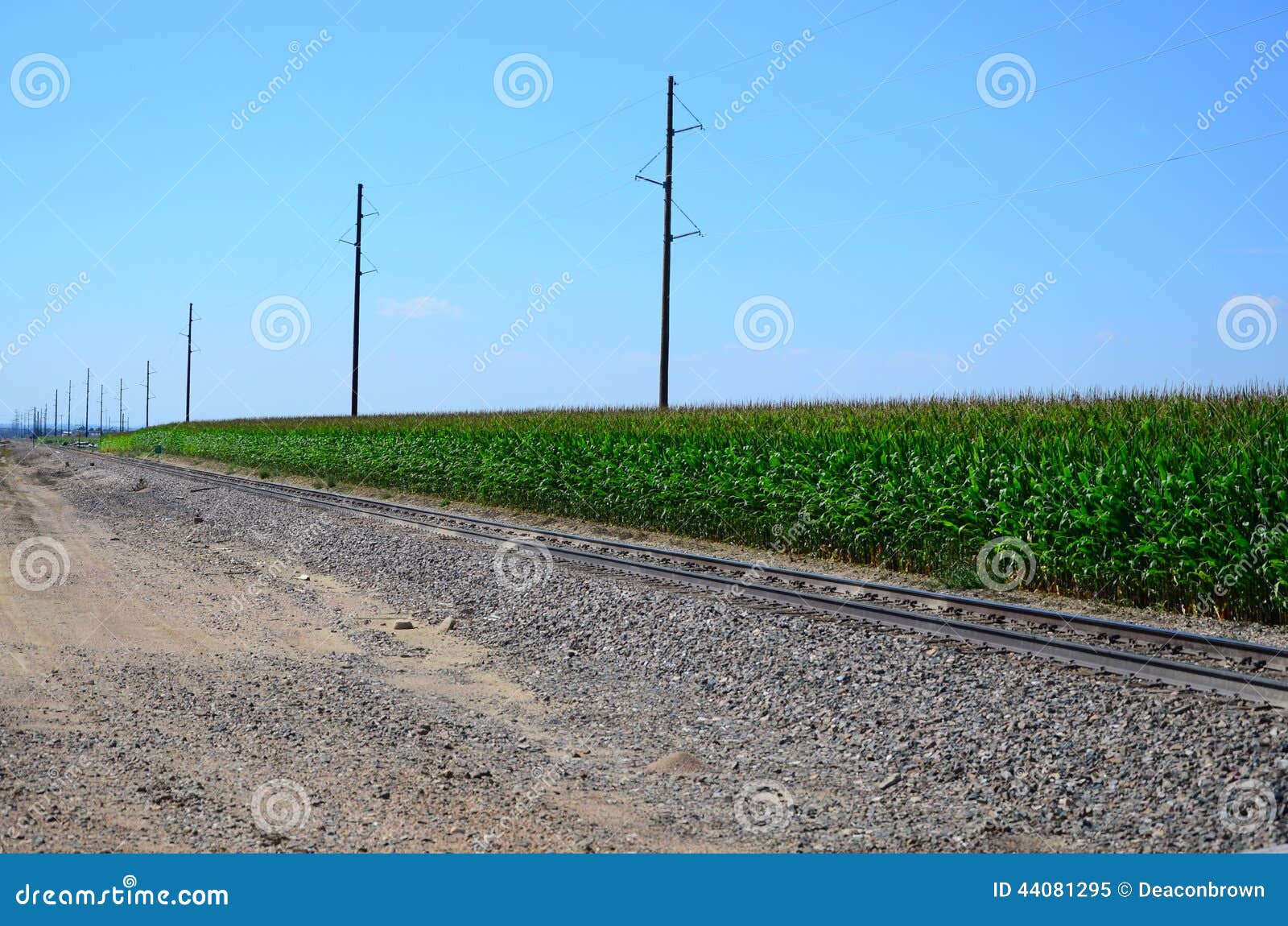 Corn Field Along Railroad Track Stock Photos - Free & Royalty-Free ...
