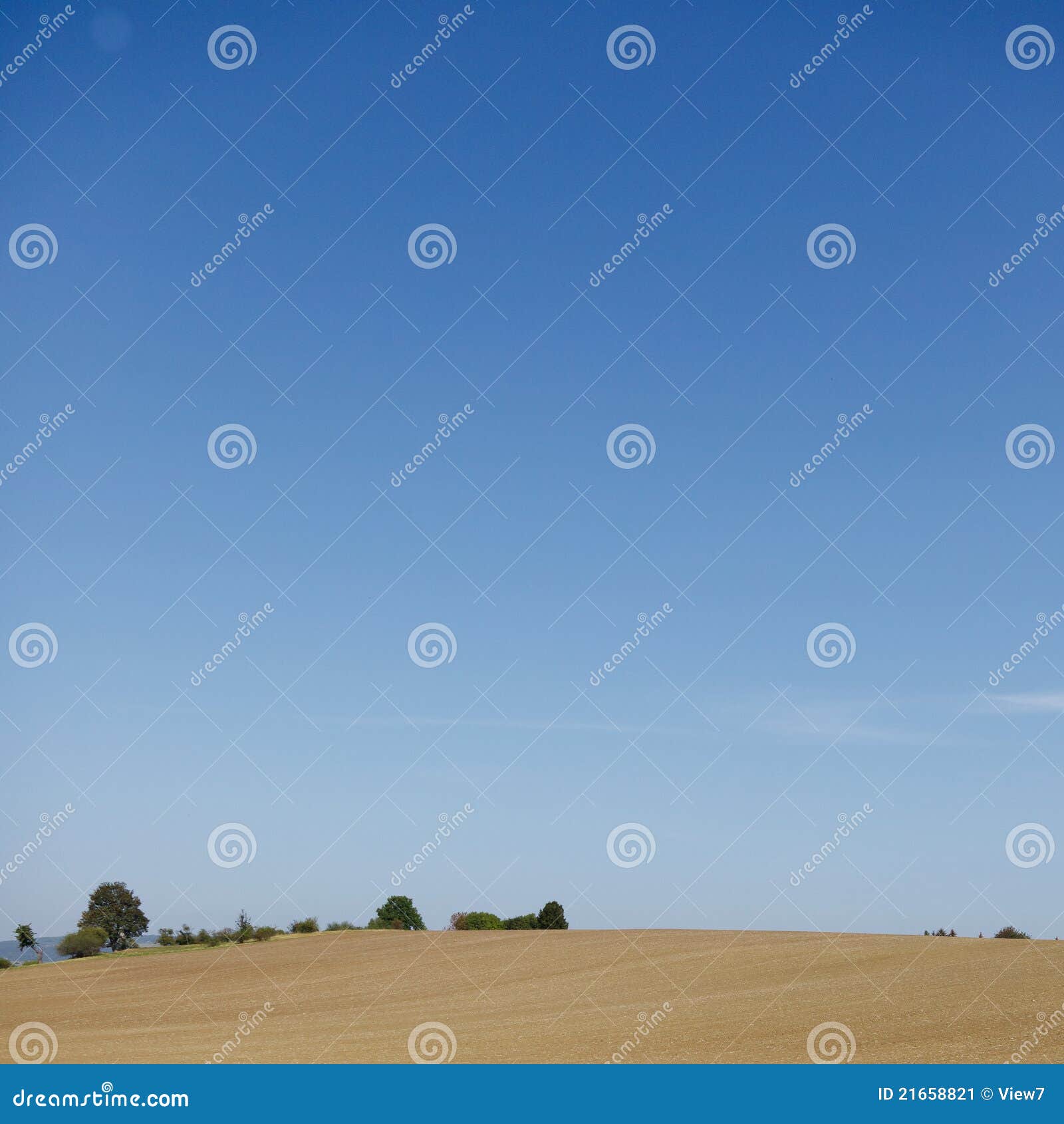 Corn field and blue sky stock image. Image of blue, summer - 21658821