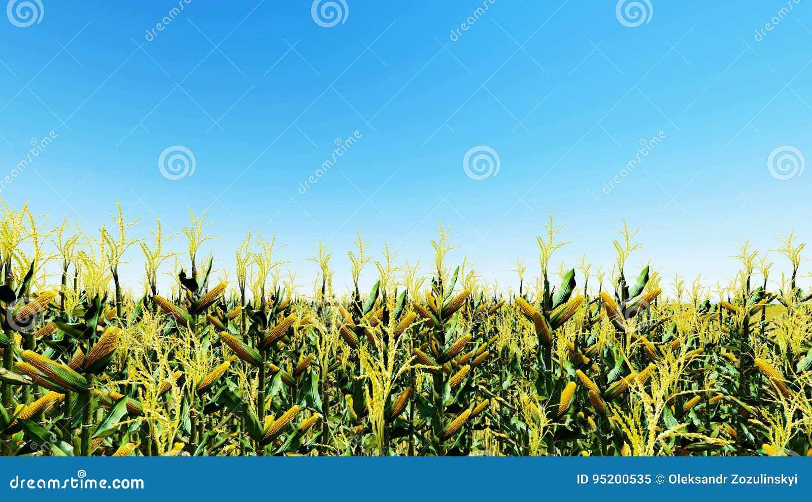 Corn Field with Blue Sky 3D Render Stock Image - Image of cloud, green ...