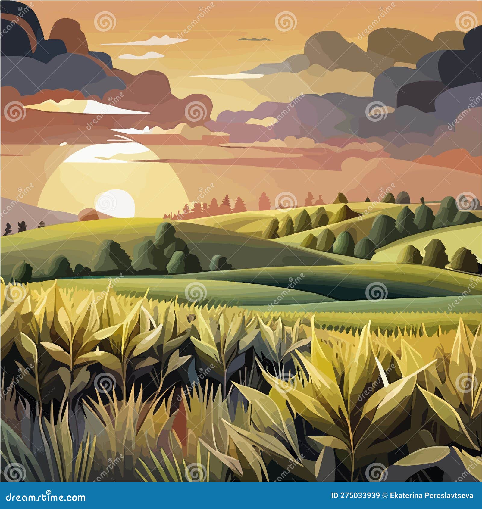 Corn Field with the Blue Sky Realistic Vector Illustration of Corn ...