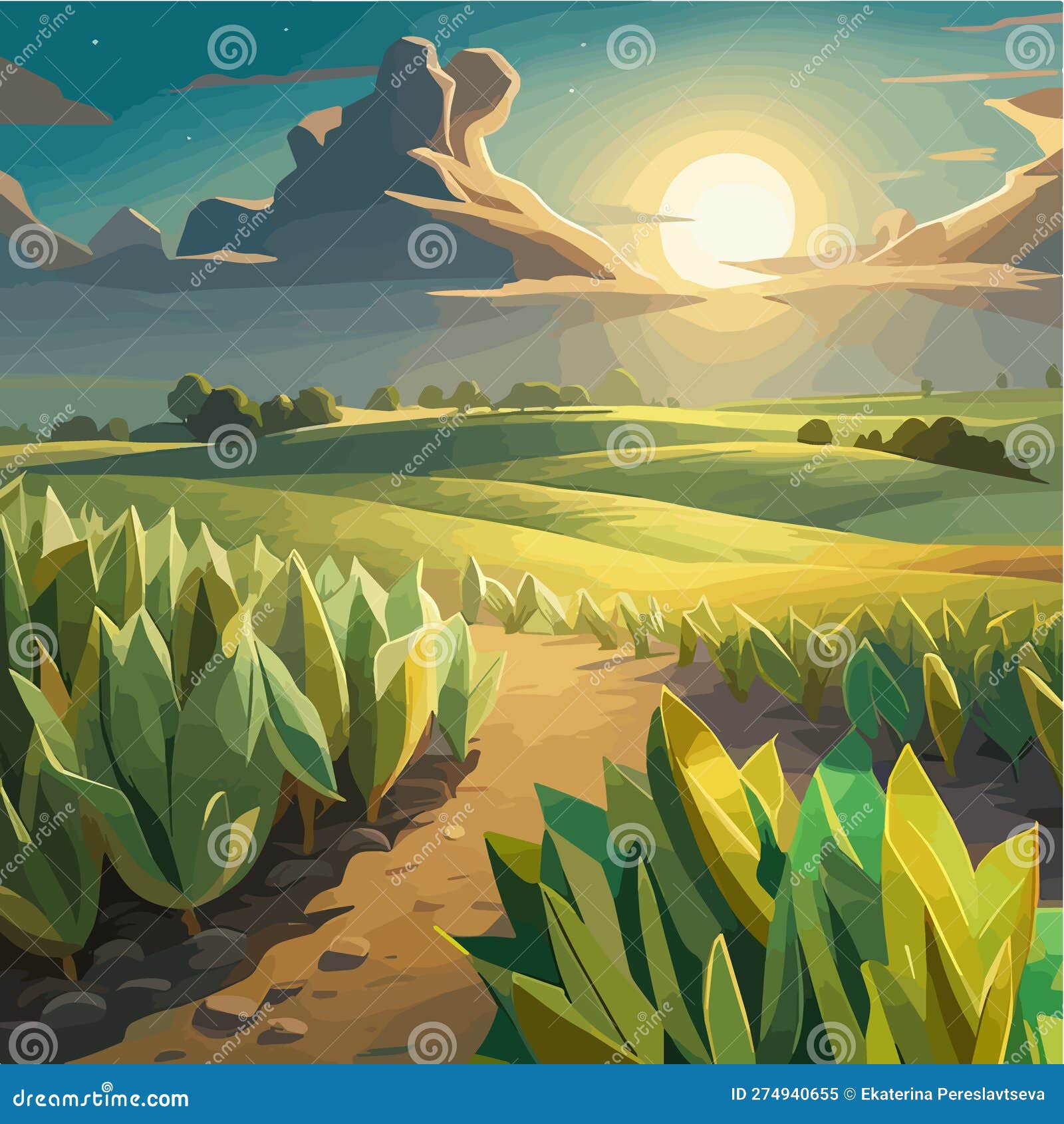 Corn Field with the Blue Sky Realistic Vector Illustration of Corn ...