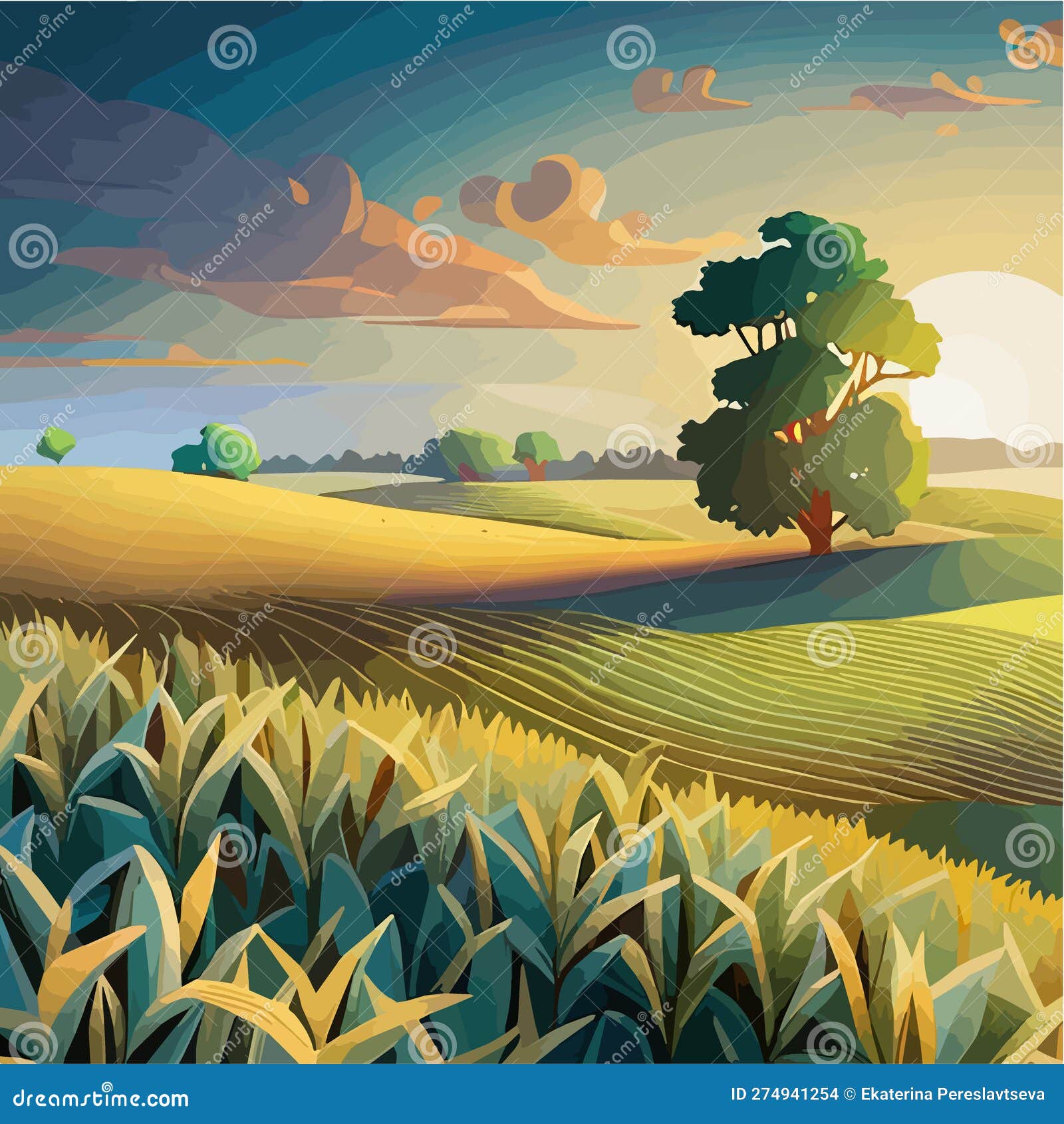Corn Field with the Blue Sky Realistic Vector Illustration of Corn ...