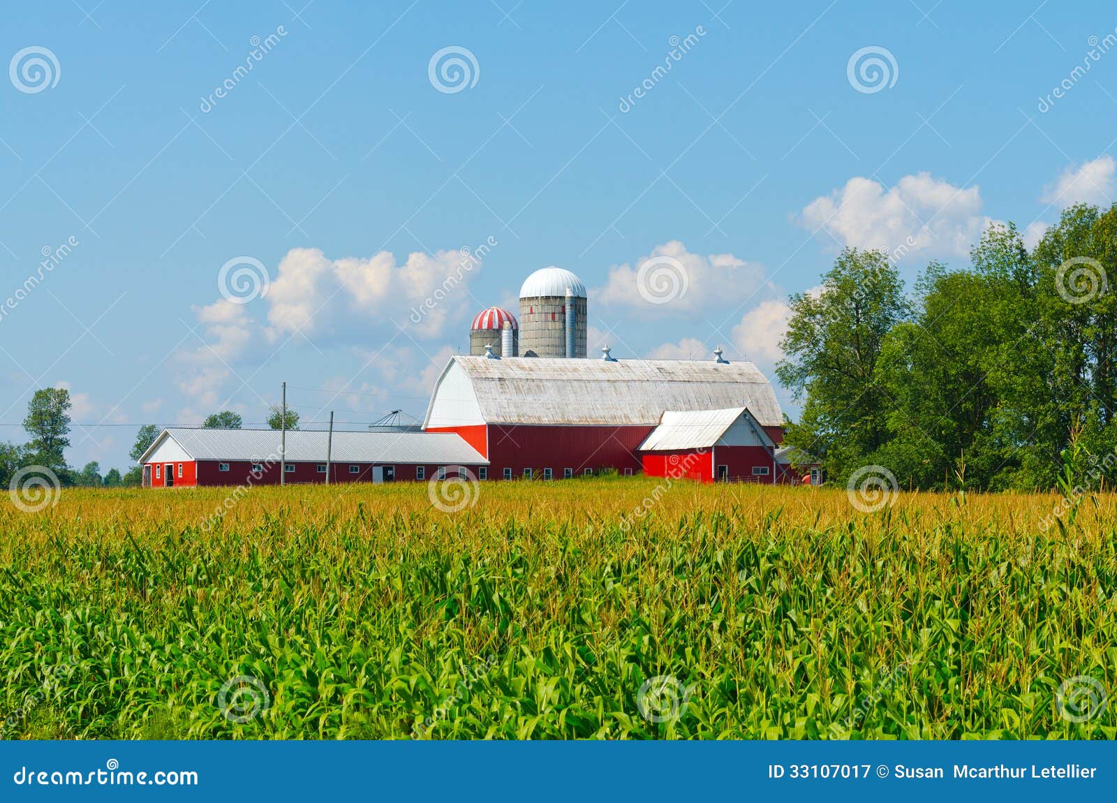 Corn Field with Colourful Barn Stock Image - Image of clouds, white ...