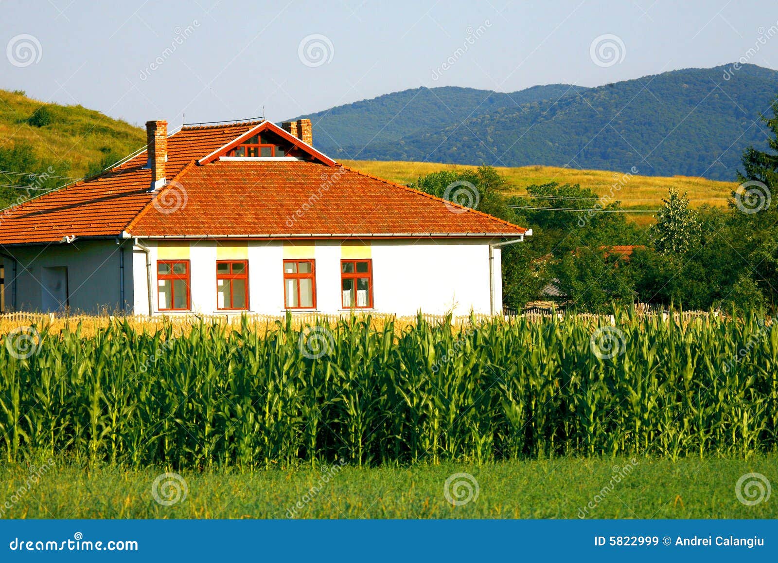 Corn field house stock image. Image of country, engineering - 5822999
