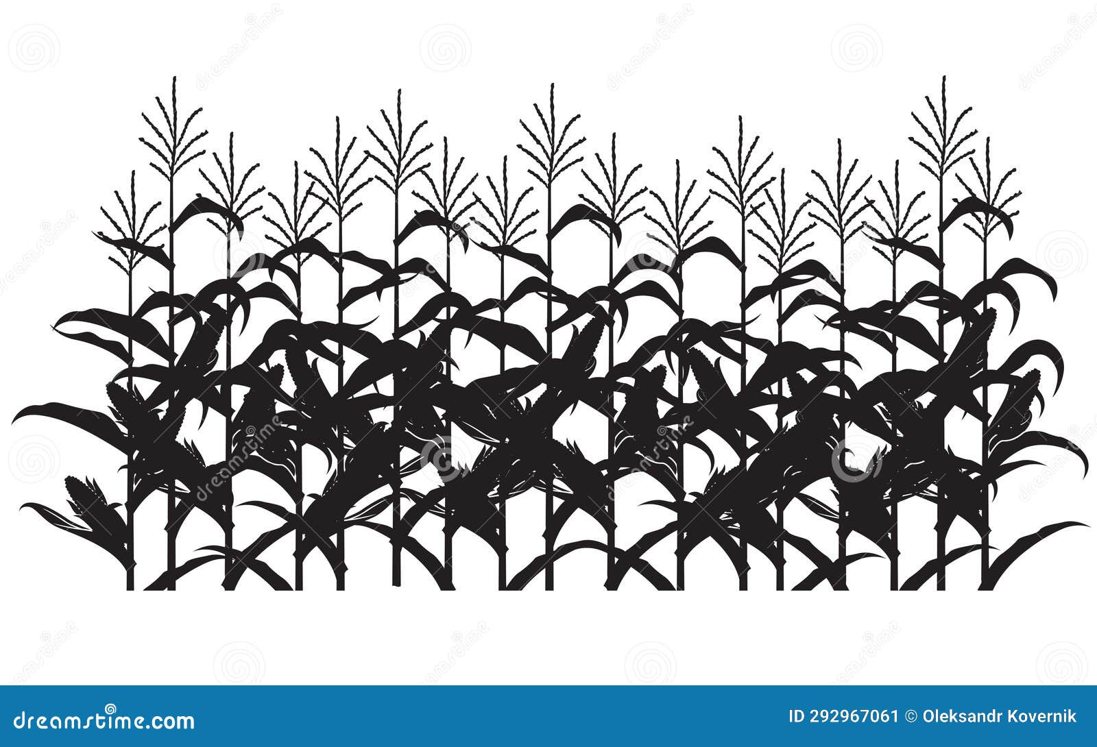 Corn field illustration stock vector. Illustration of design - 292967061