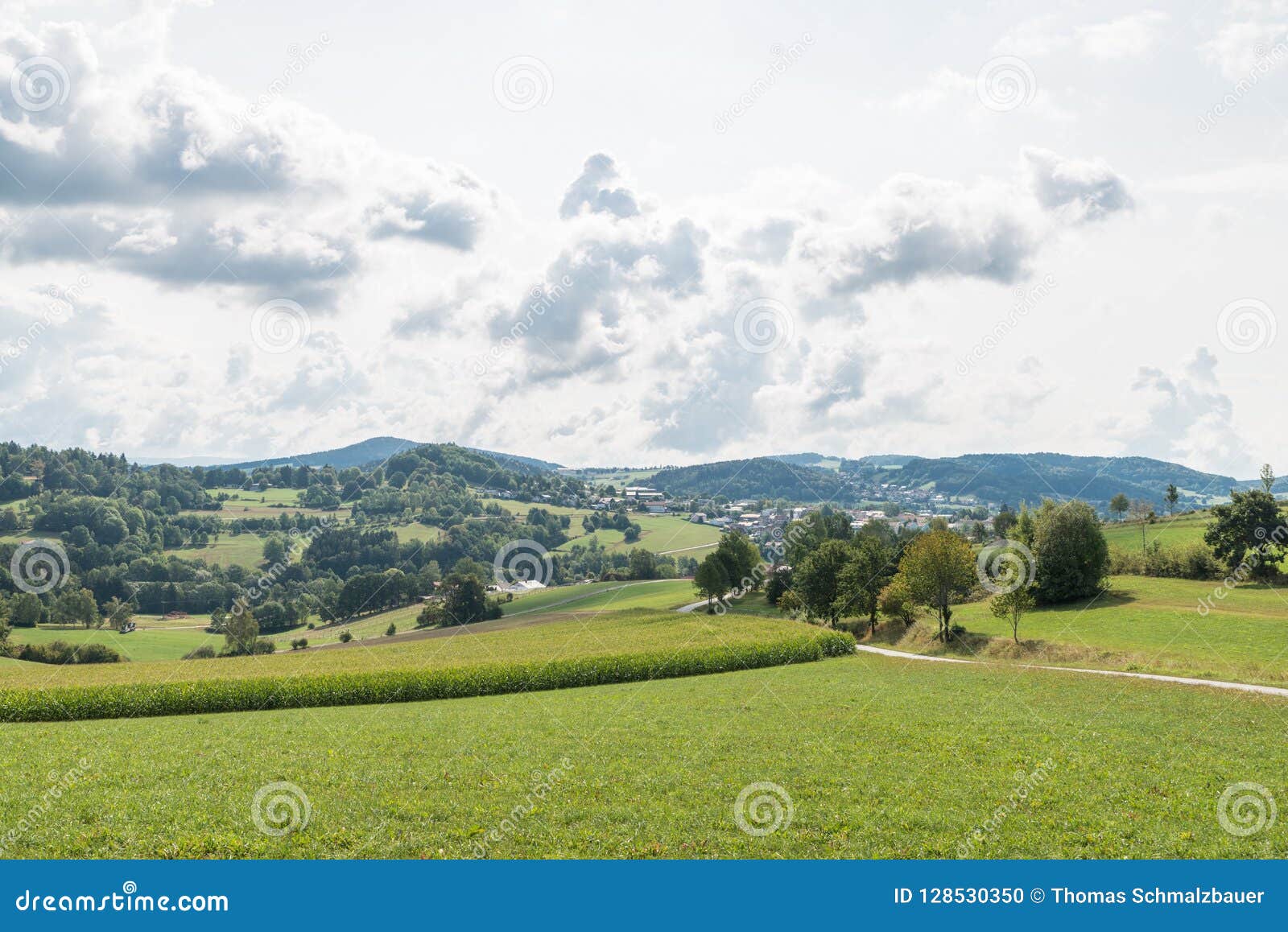 Corn Field and Meadow in the Bavarian Forest, Germany Stock Photo ...
