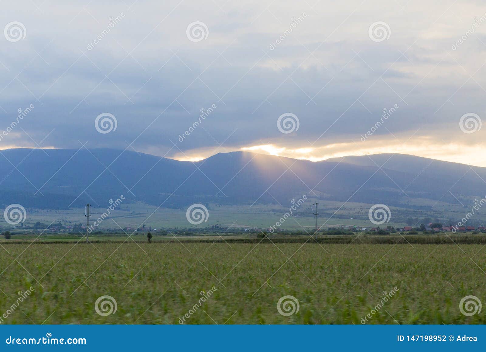 Corn Field and the Sunset Over Mountains Stock Photo - Image of outdoor ...