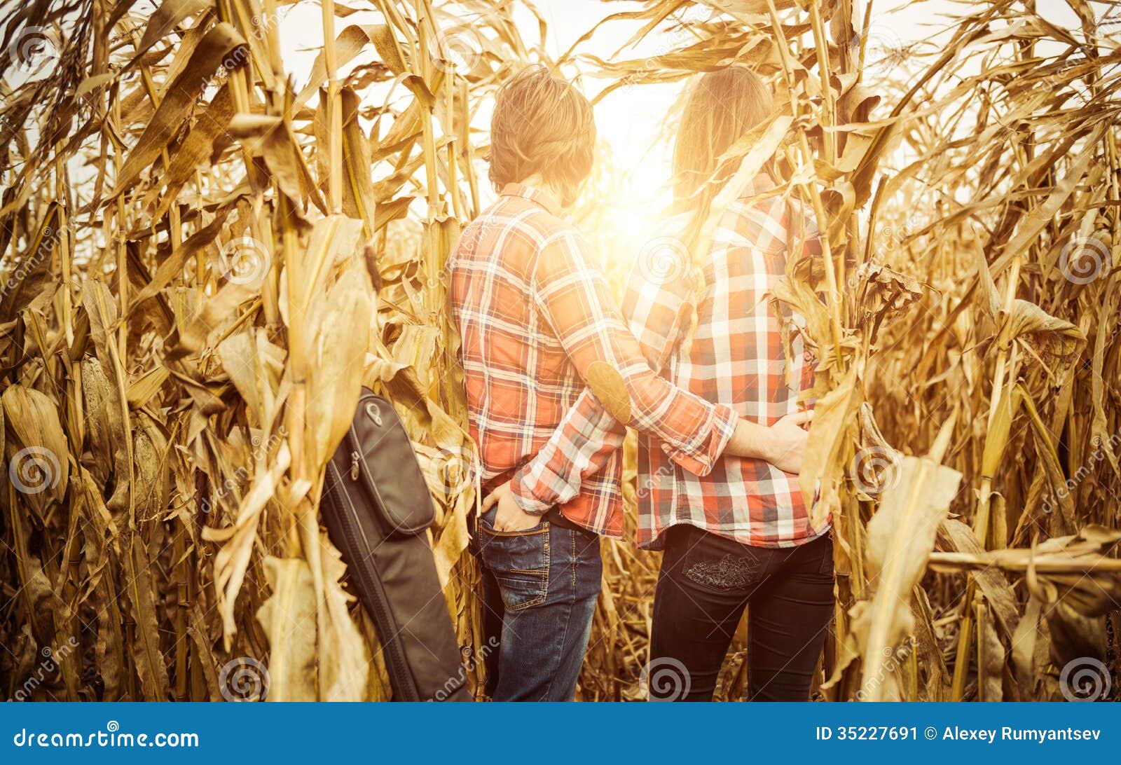 Corn field sunset view stock image. Image of together - 35227691