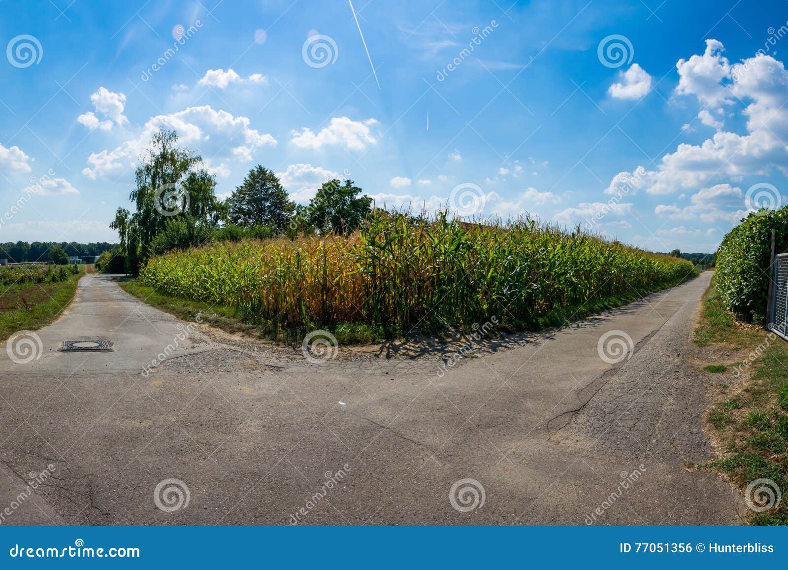 Two Diverging Paths In A Lush Green Park In Sydney Stock Photography ... Two Diverging Paths In A Lush Green Park In Sydney Stock Photography ...