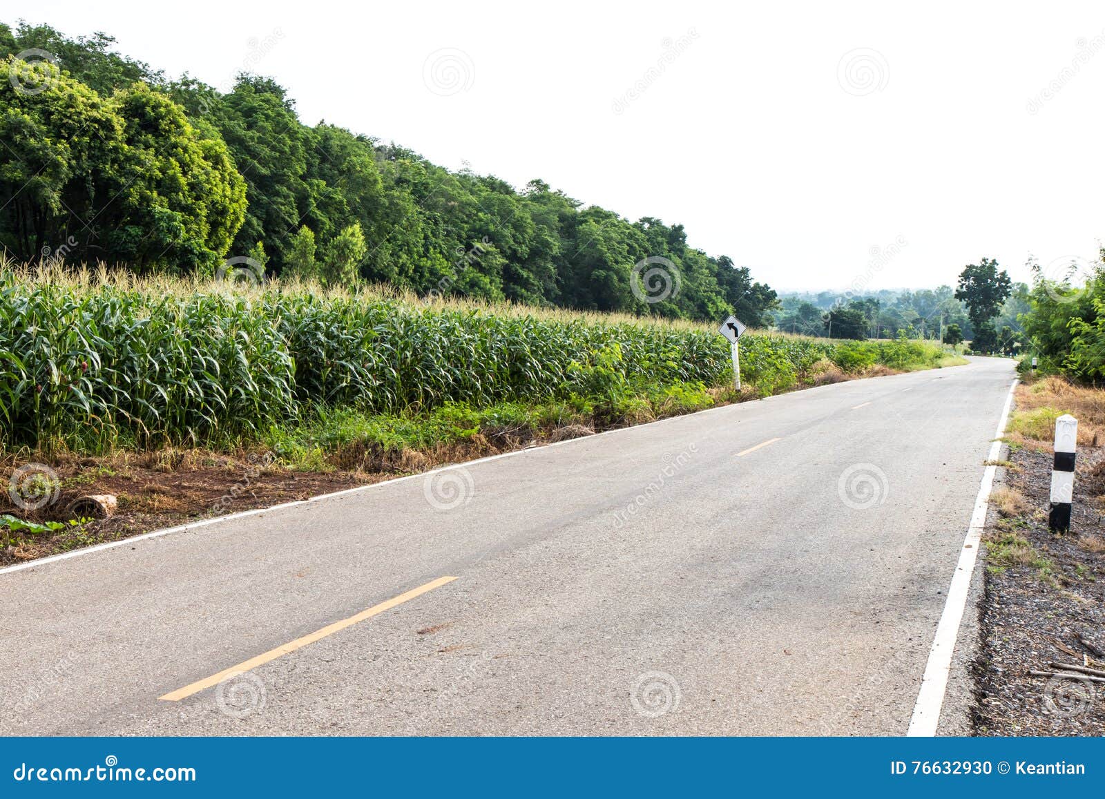 Corn Fields with Road Signs. Stock Photo - Image of road, landscape ...