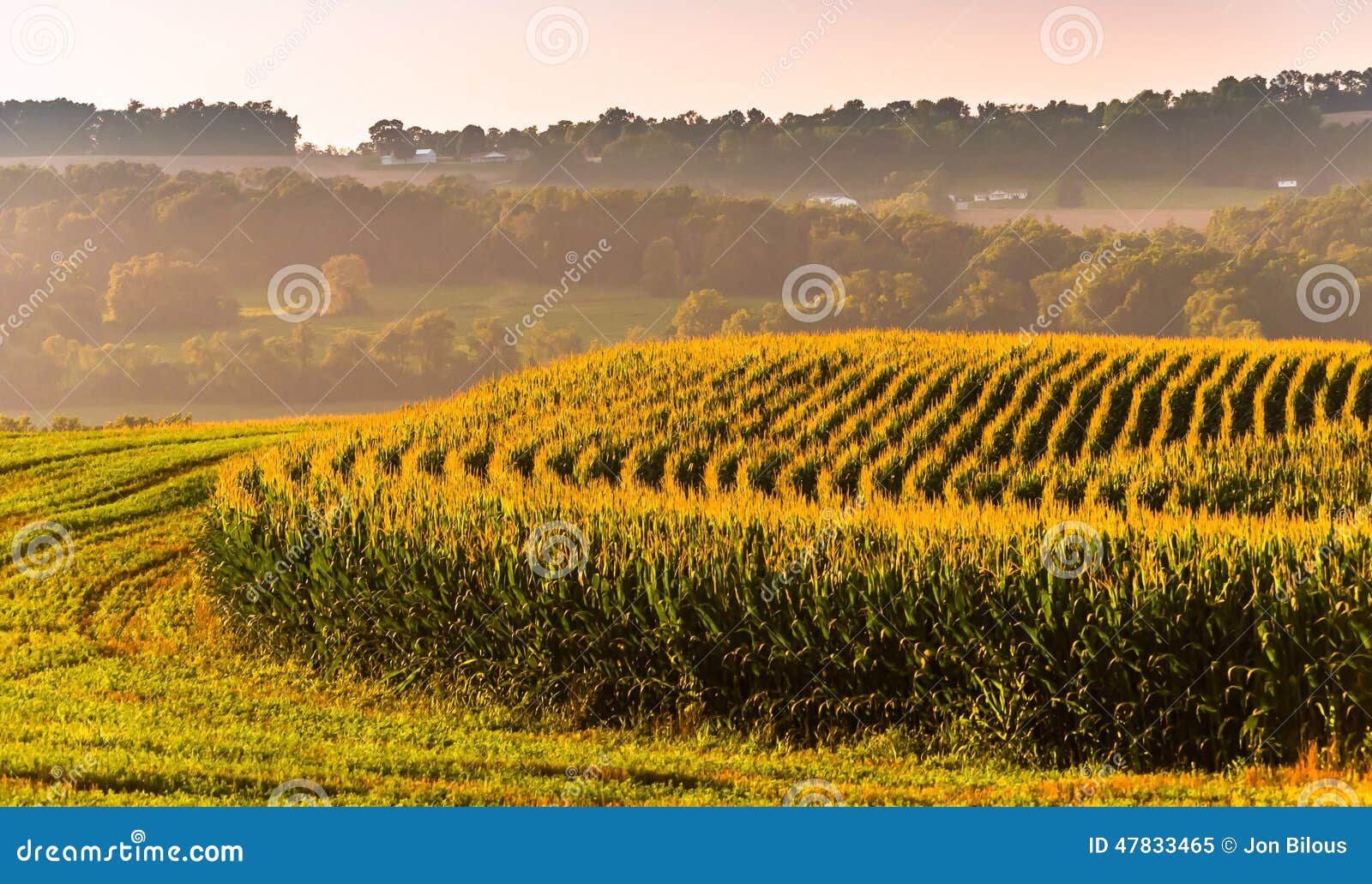 Corn Fields and View of Distant Hills in Rural York County, Penn Stock ...