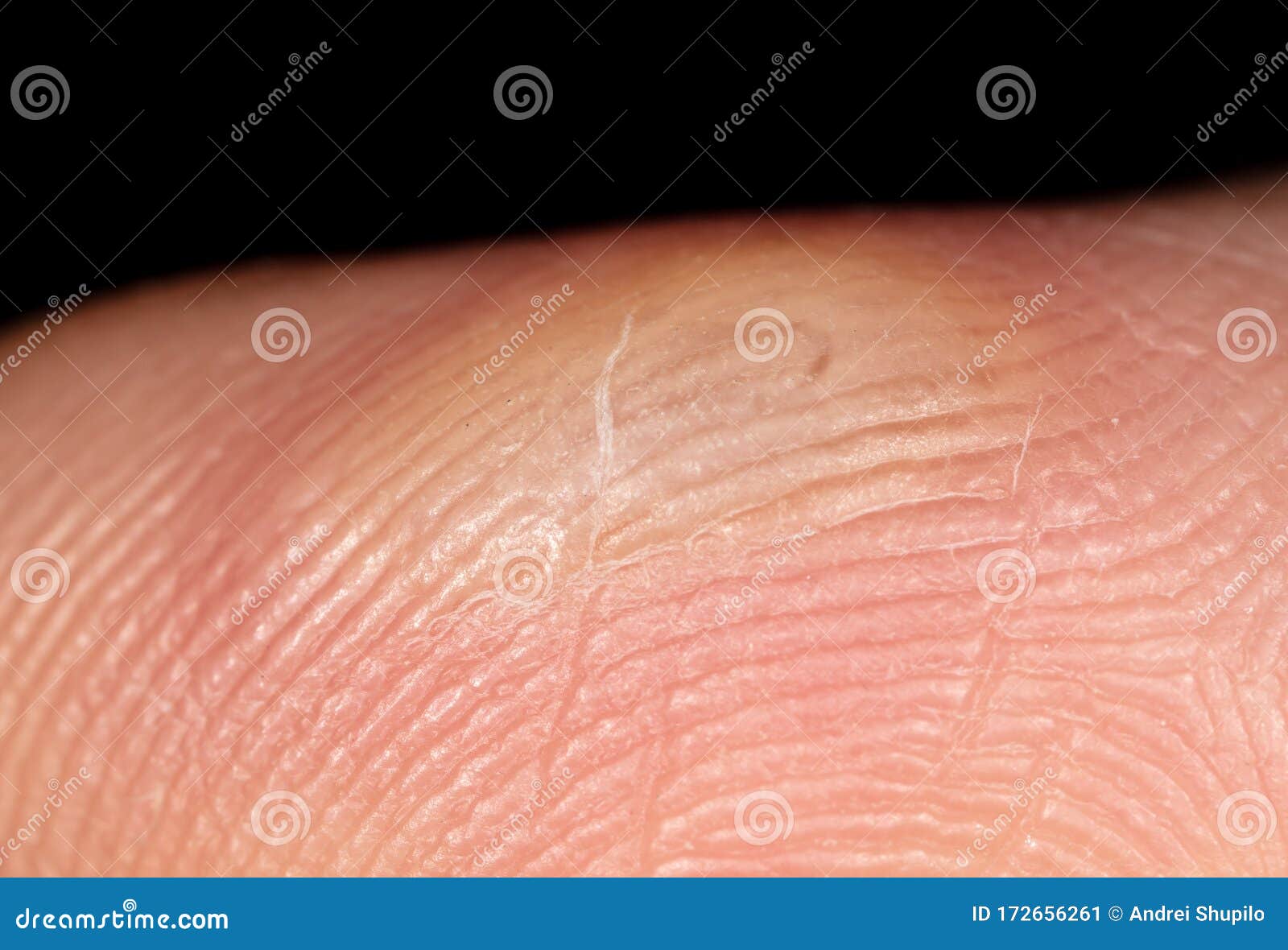 Corn on a Finger Isolated on a Black Stock Image - Image of hands, palm ...