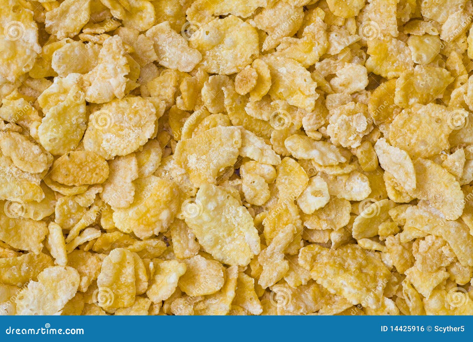 Corn Flakes stock photo. Image of eating, breakfast, healthy - 14425916