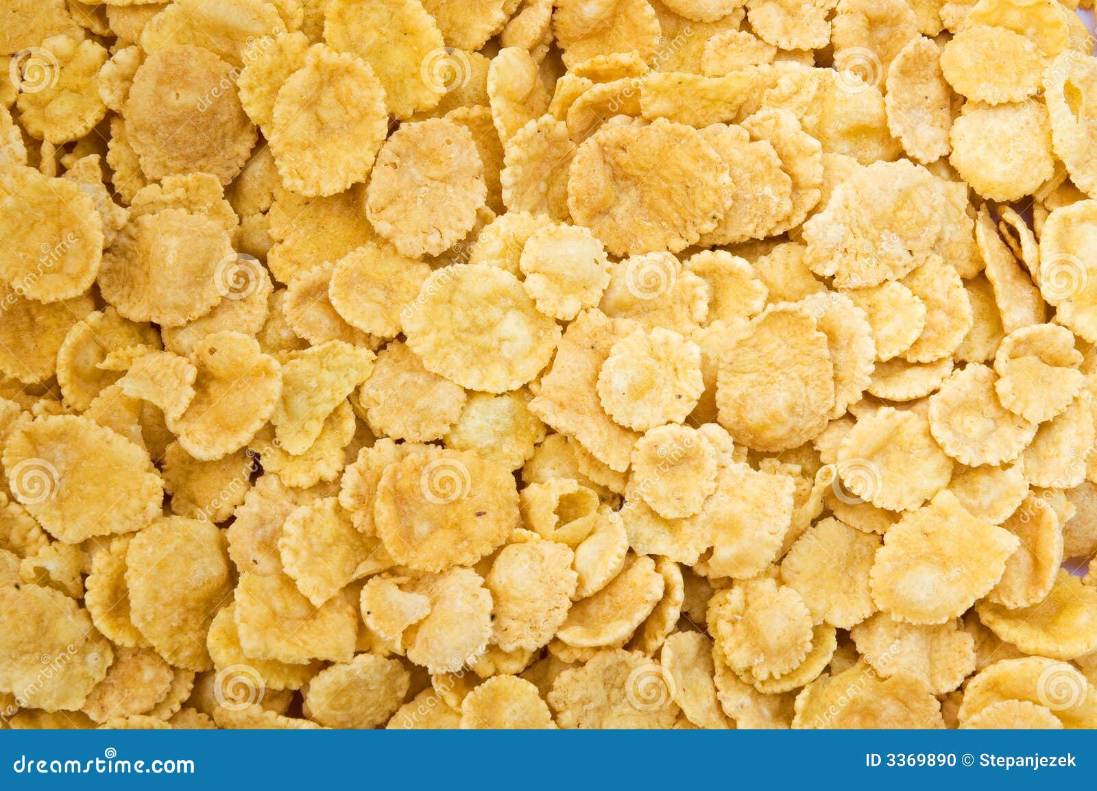 Corn flakes stock photo. Image of flake, vegetarian, healthy - 3369890