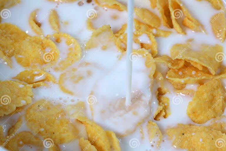 Corn flakes stock photo. Image of drop, flakes, freshness - 38400238