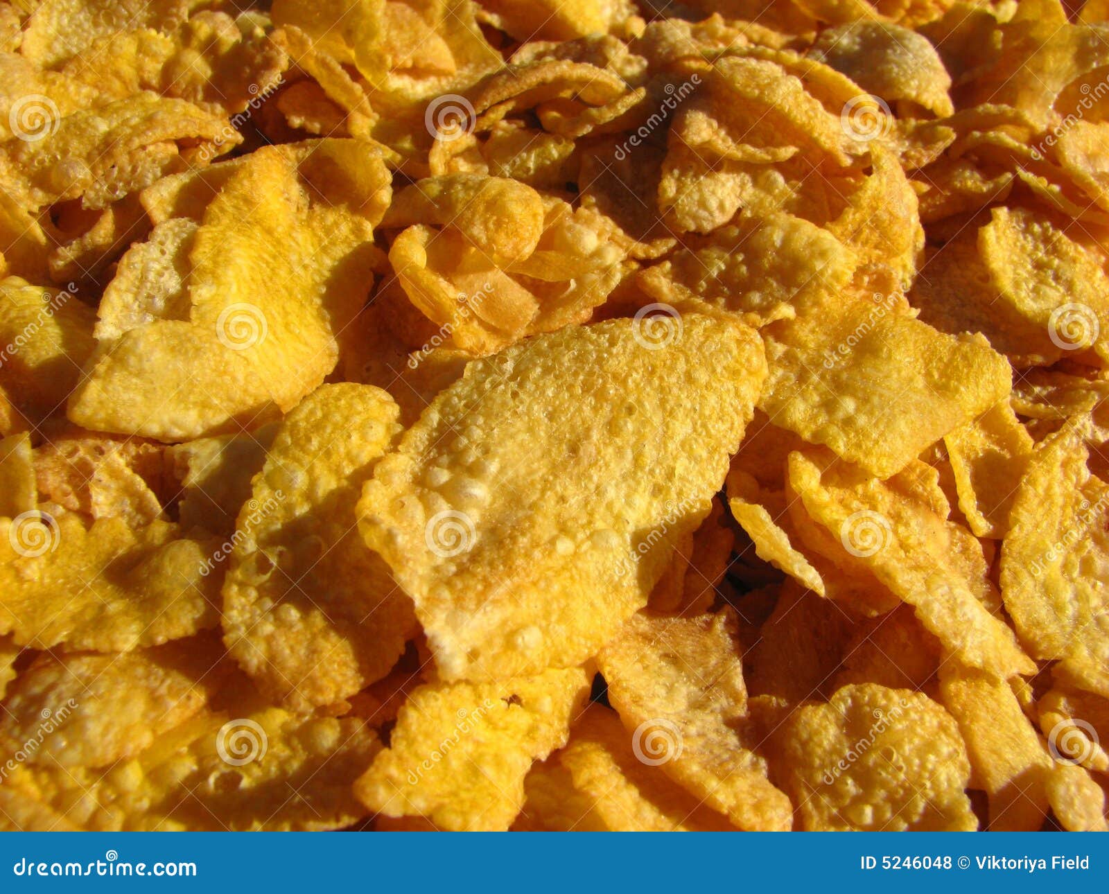 Corn flakes stock photo. Image of breakfast, flakes, texture - 5246048
