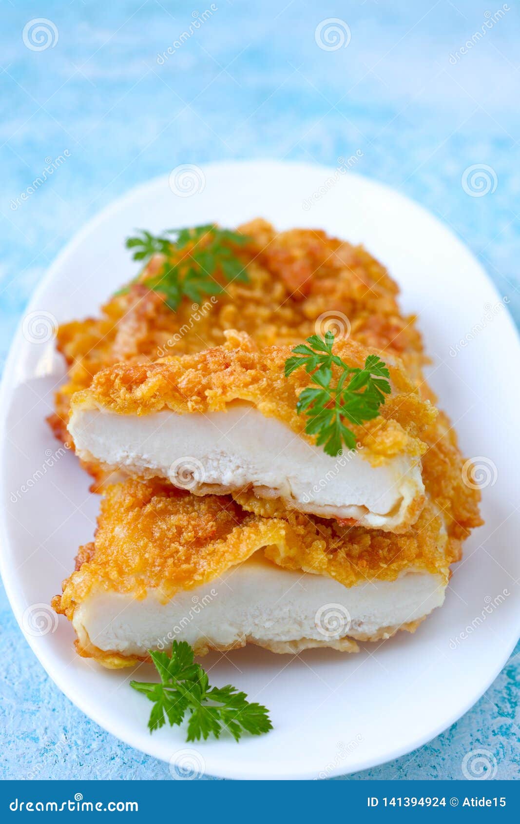 Fried turkey fillet stock photo. Image of meat, recipe - 141394924