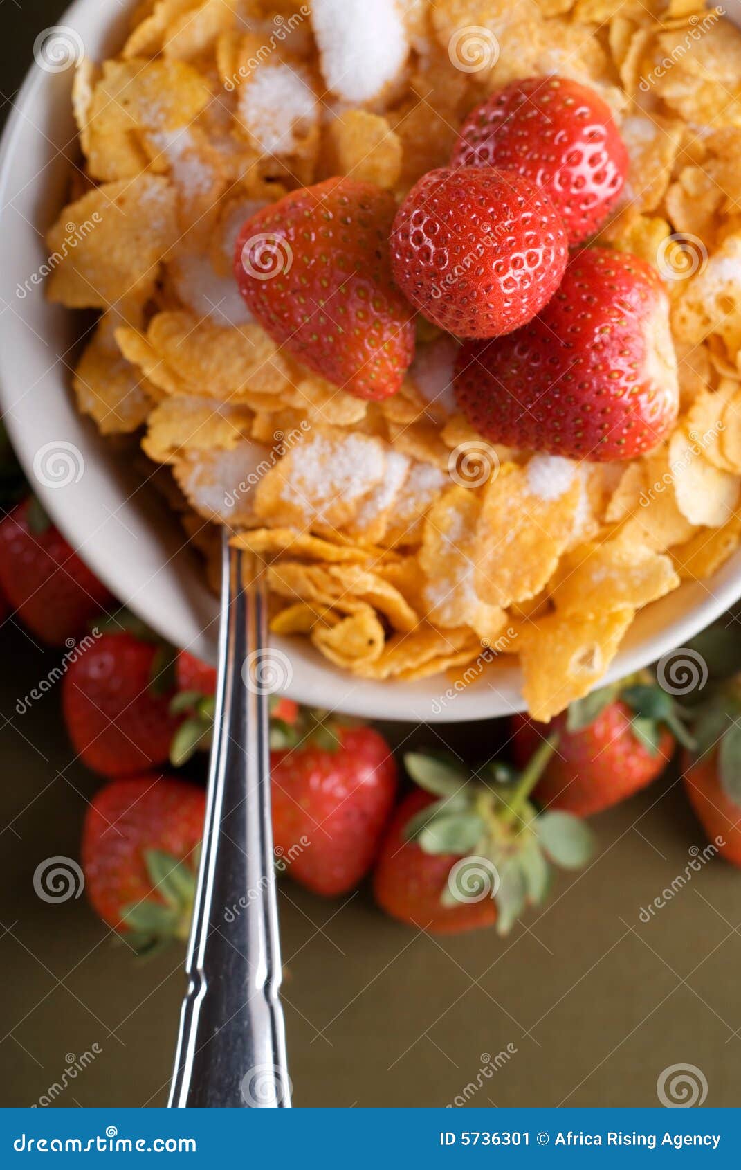 Corn Flakes Breakfast stock image. Image of milk, morning - 5736301