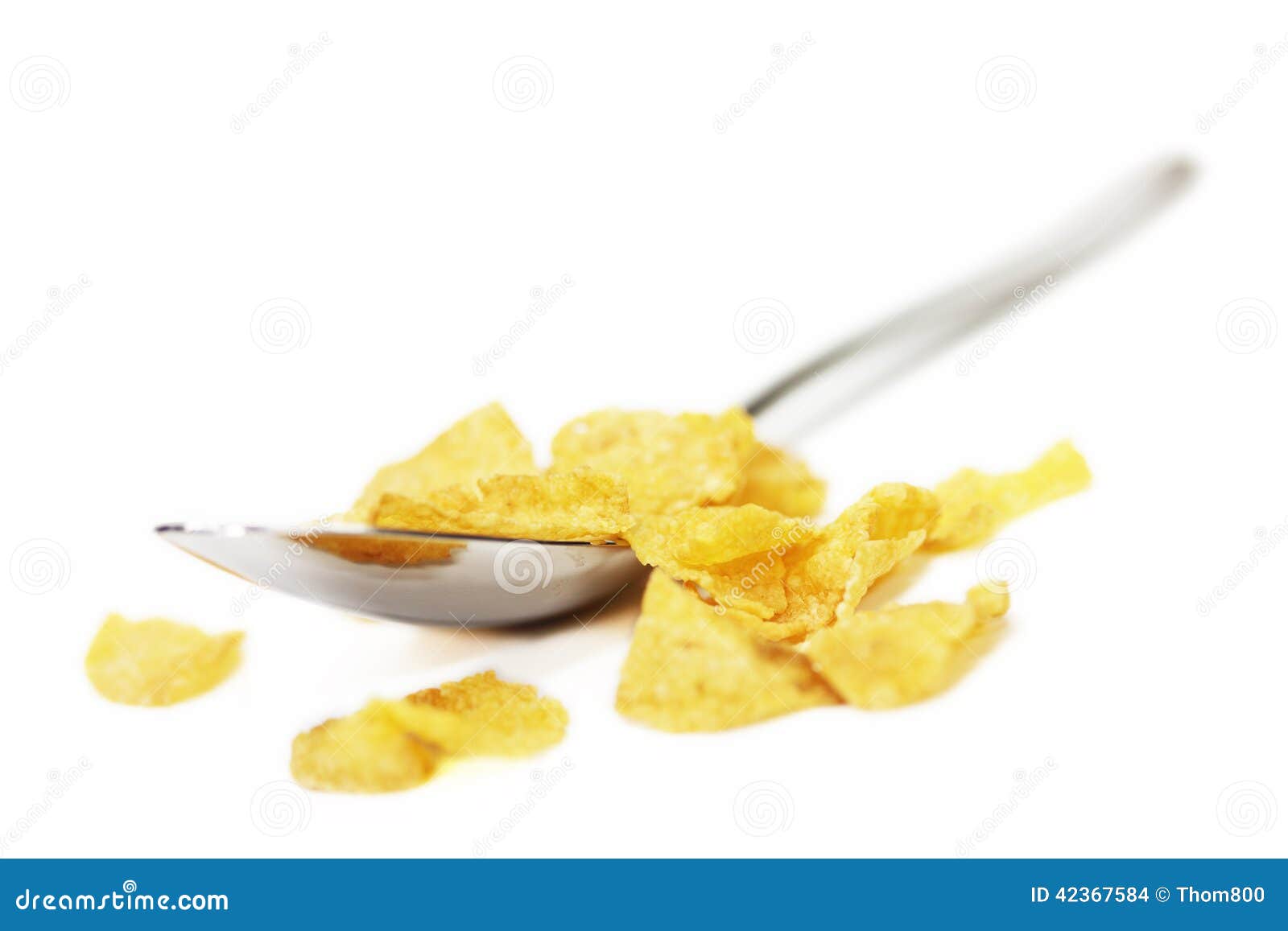Corn flakes stock photo. Image of start, table, calorie - 42367584