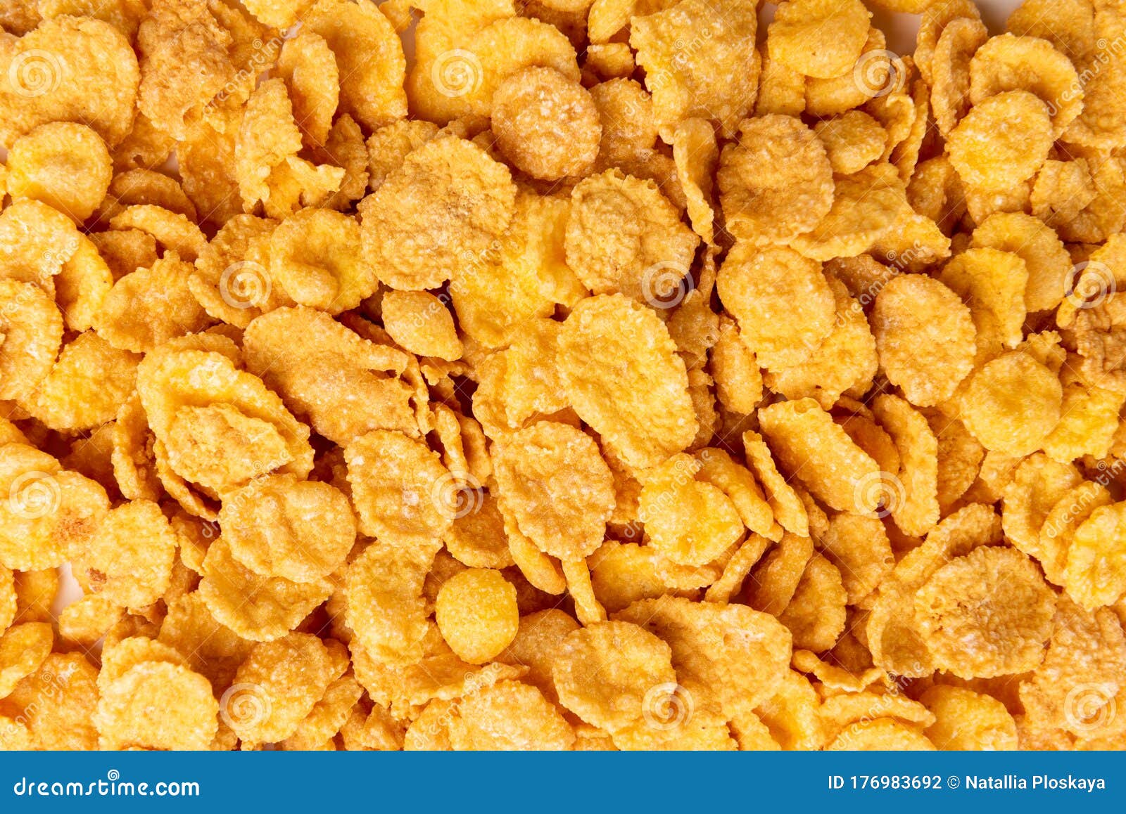 Corn Flakes Isolated on White Background Stock Photo - Image of ...