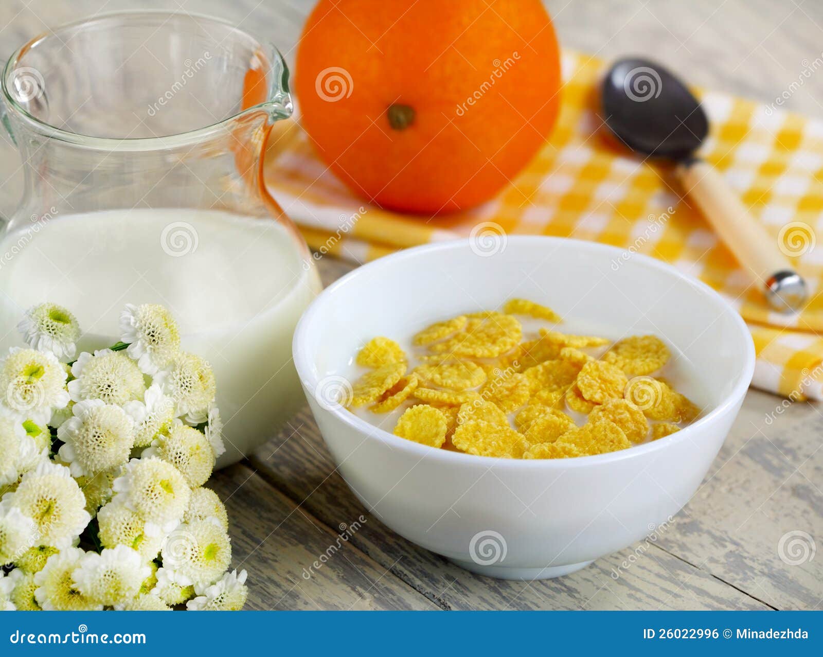 Corn flakes with milk stock photo. Image of chrysanthemums - 26022996