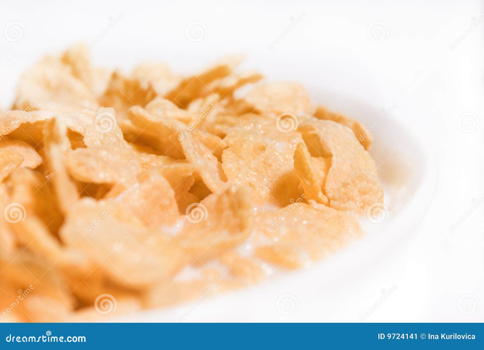 Corn flakes and milk stock image. Image of flake, corn - 9724141