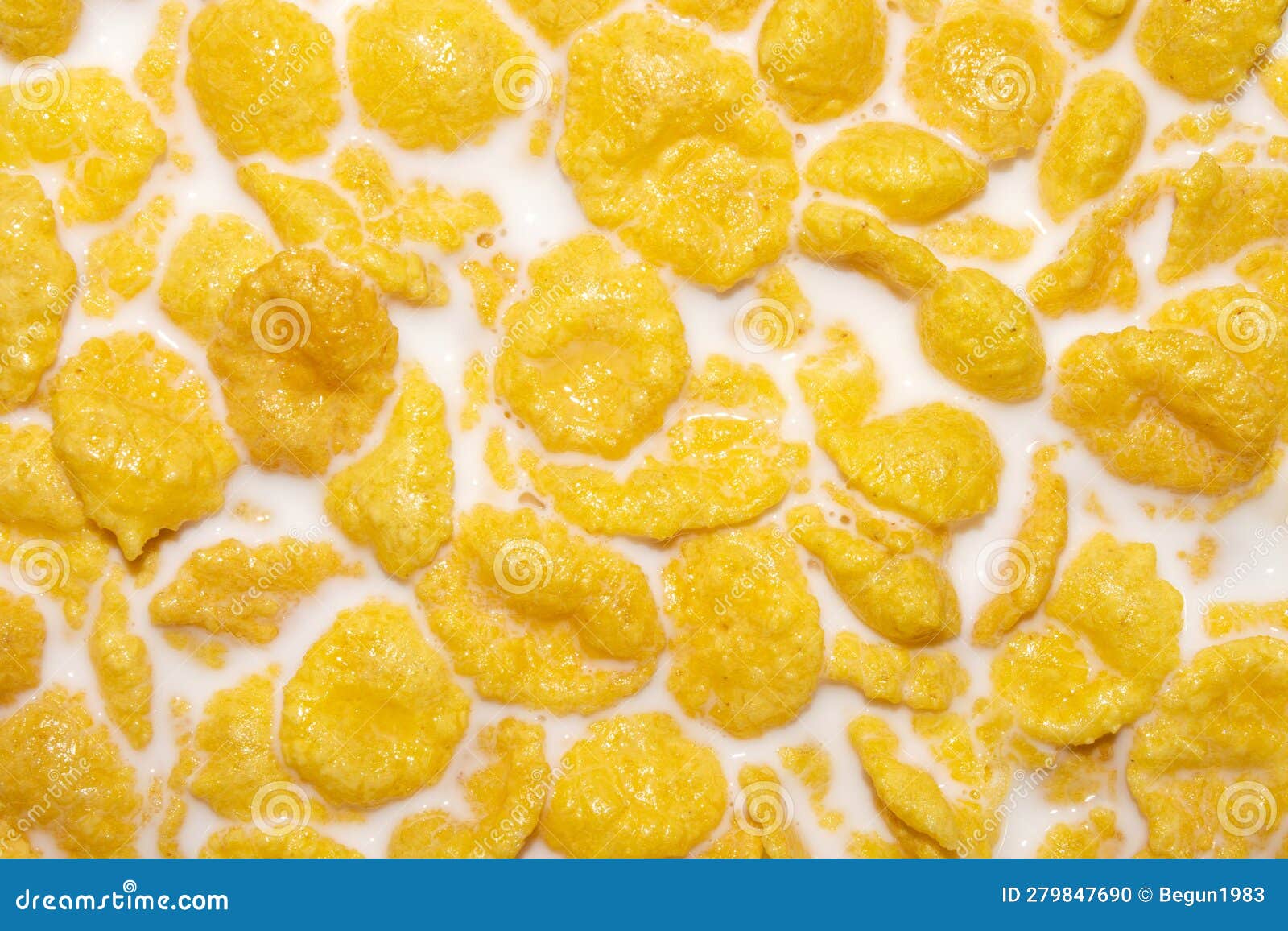 Corn Flakes in Milk.Ready-made Breakfast of Cornflakes with Milk Stock ...