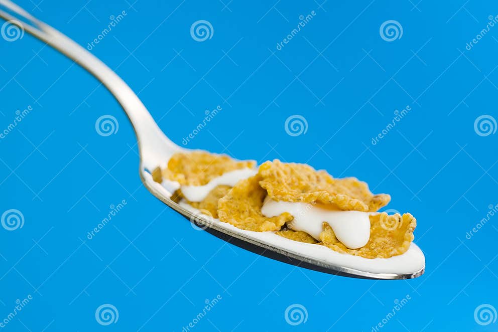 Corn flakes on the spoon stock photo. Image of concept - 4401774
