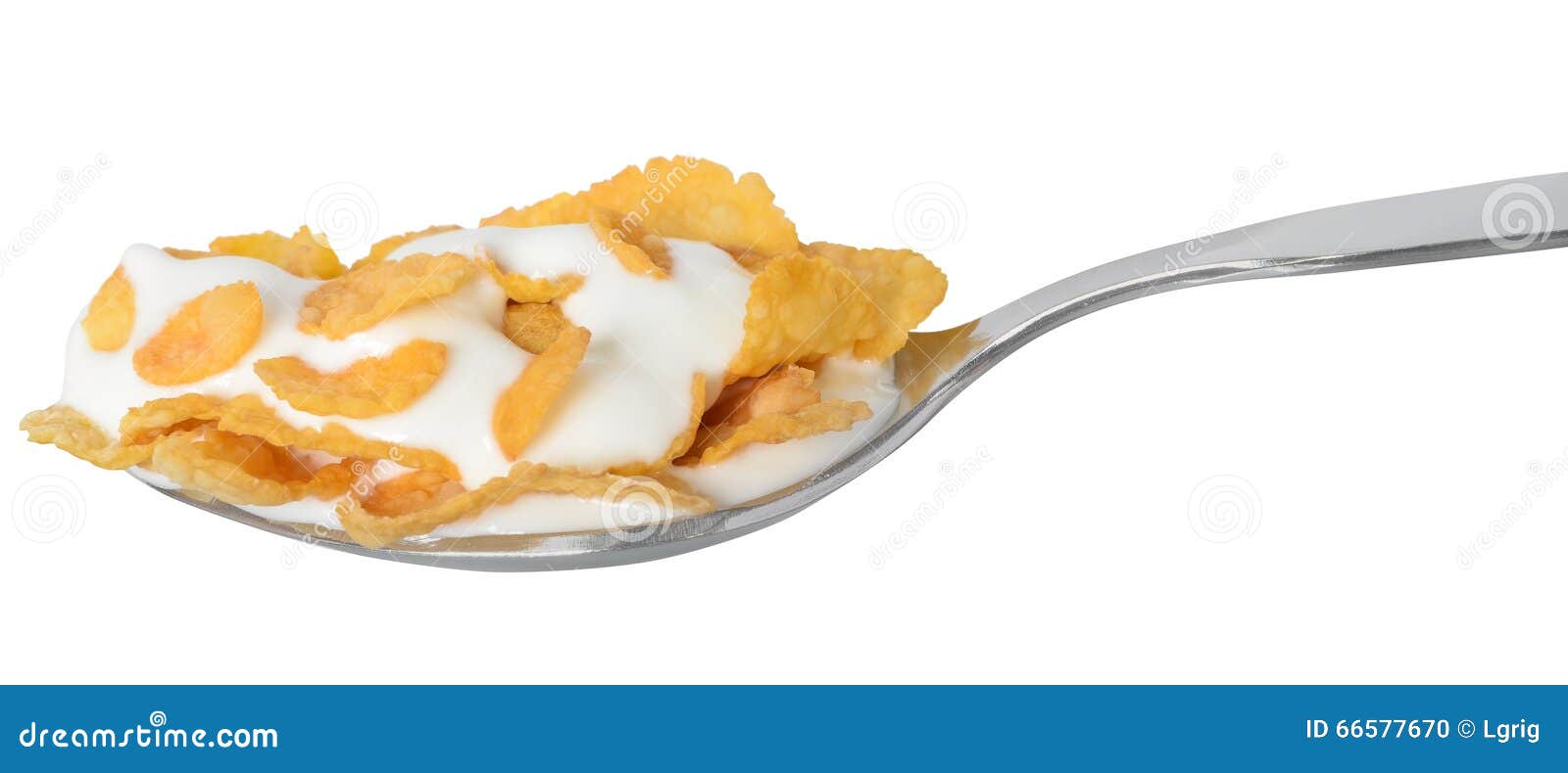 Corn Flakes in a Spoon with Yogurt Stock Photo - Image of beige, grain ...