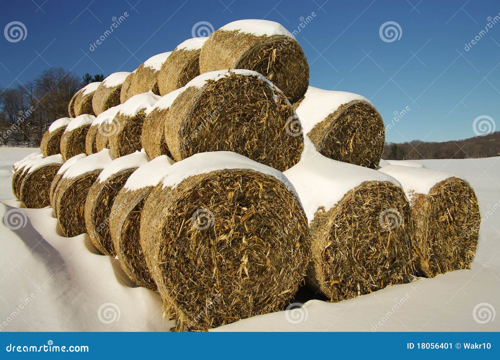 Corn Fodder Bales in Winter Stock Image - Image of landscape, animal ...