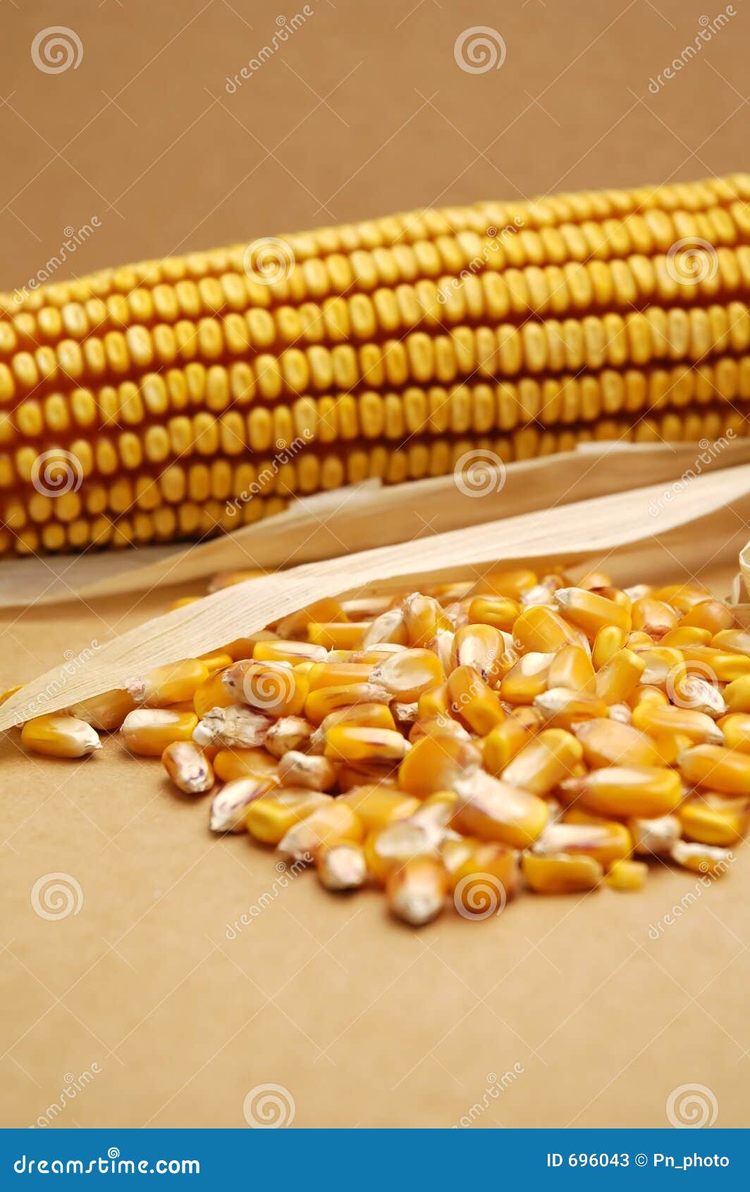 Corn food diet stock image. Image of fitness, loss, cornfield - 696043