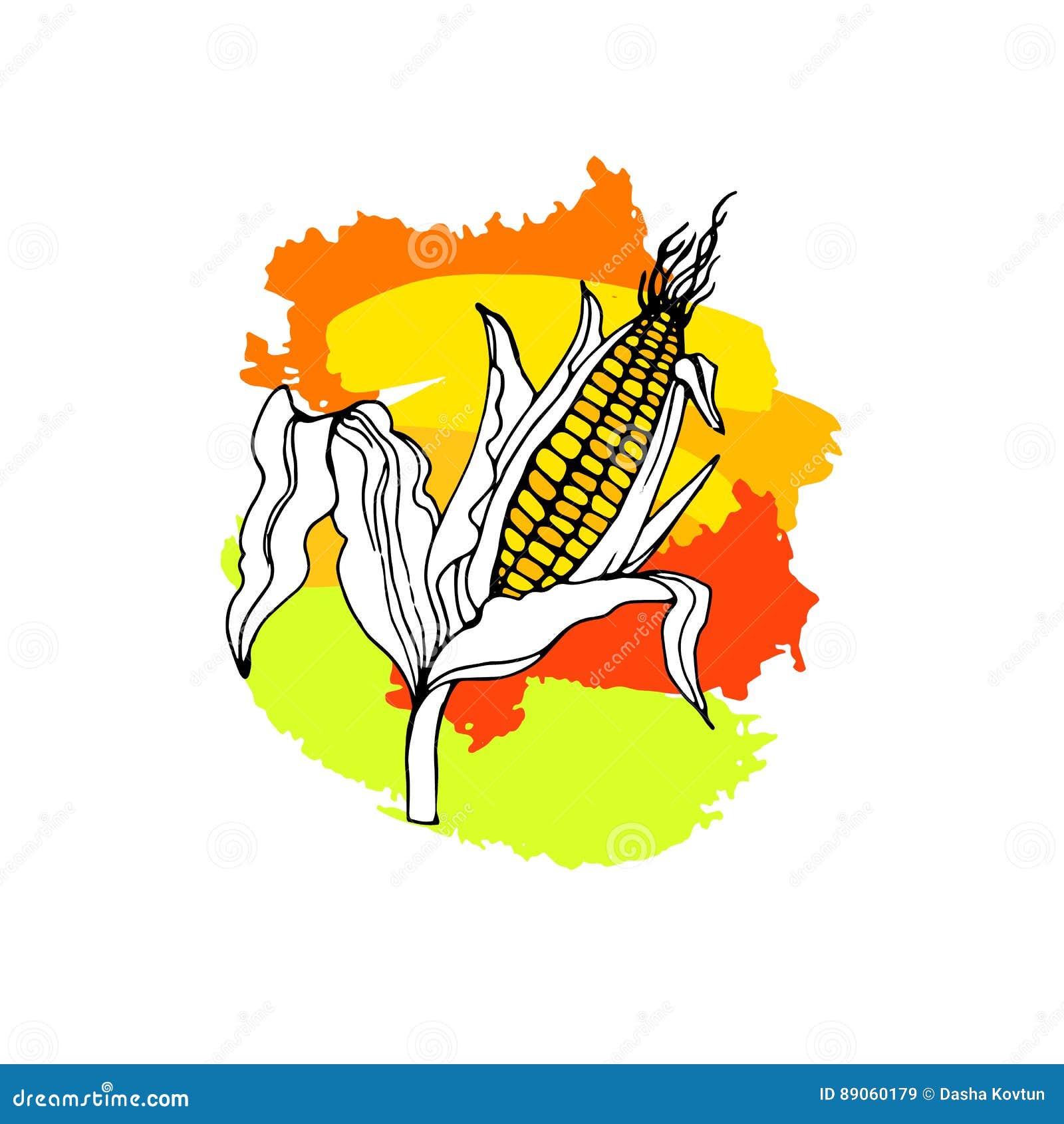 Corn Food Vector Illustration Natural Maize Healthy Fresh Organic Stock ...