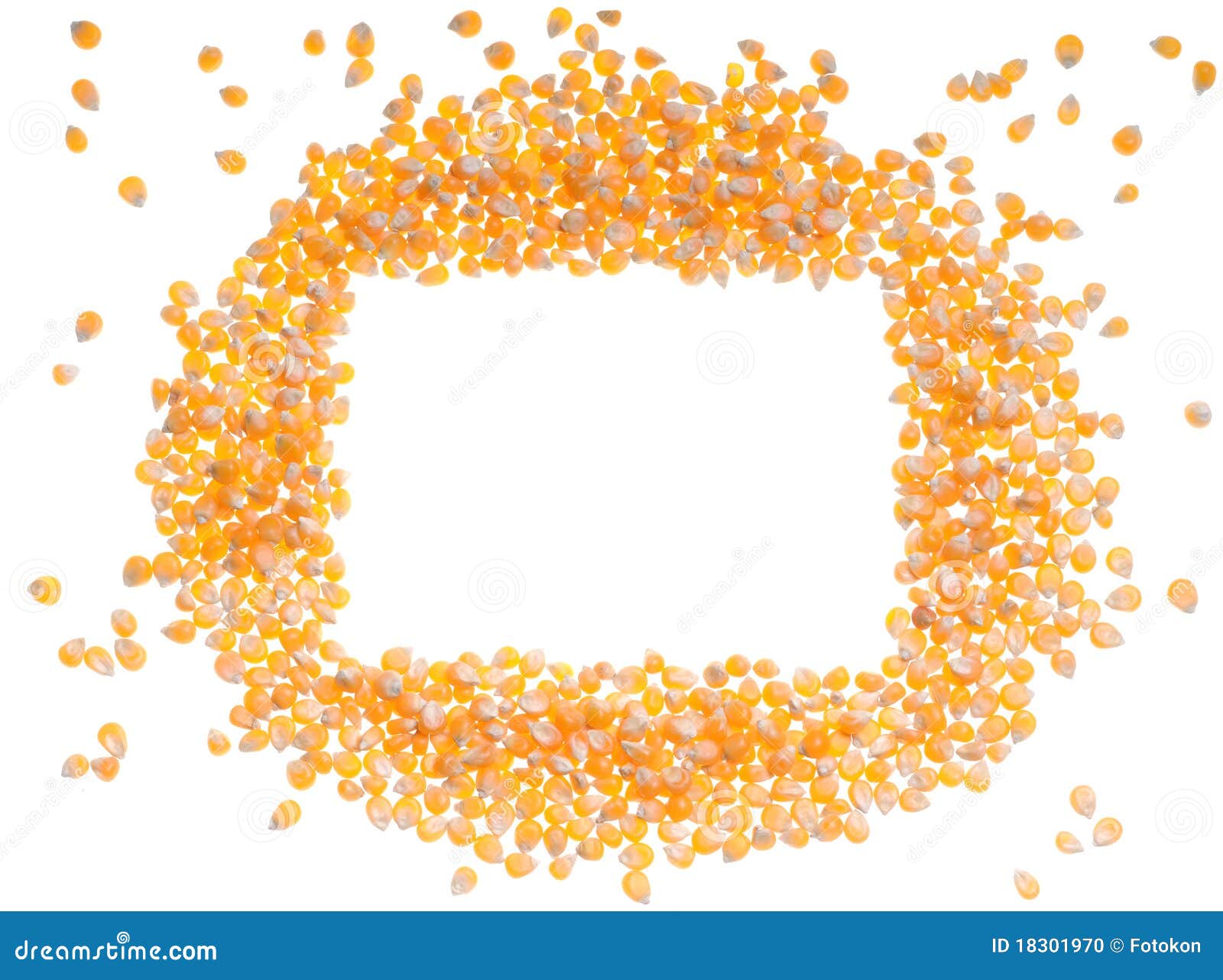 Corn frame stock photo. Image of shape, cereal, isolated - 18301970