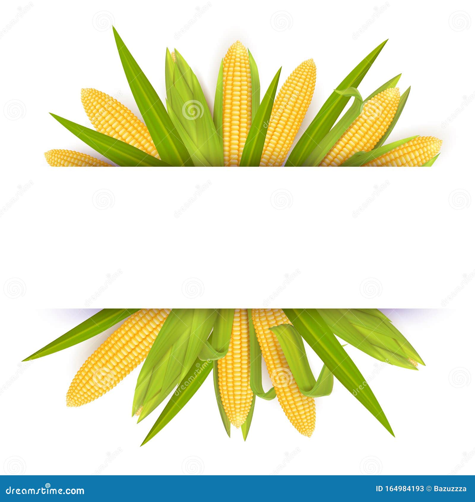 Corn Frame Card Template, Vector Realistic Illustration Stock Vector ...
