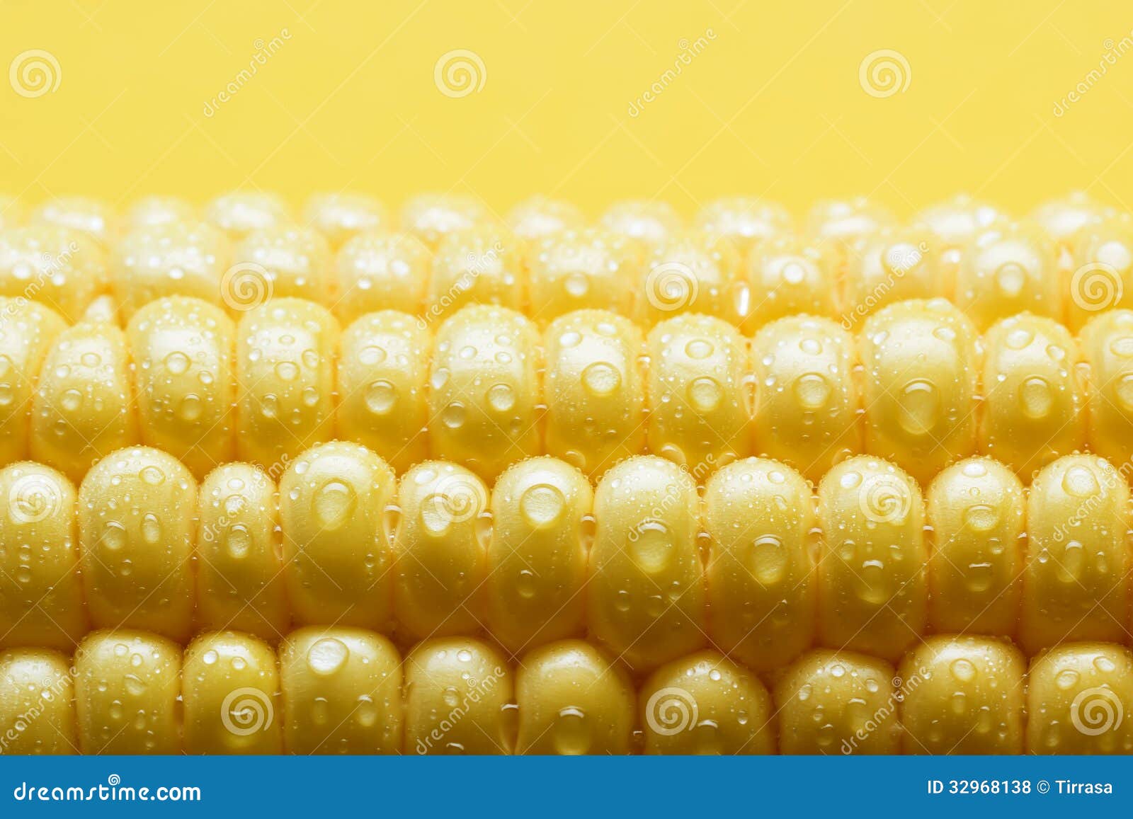 Corn stock photo. Image of drop, culture, kernel, fragrant - 32968138