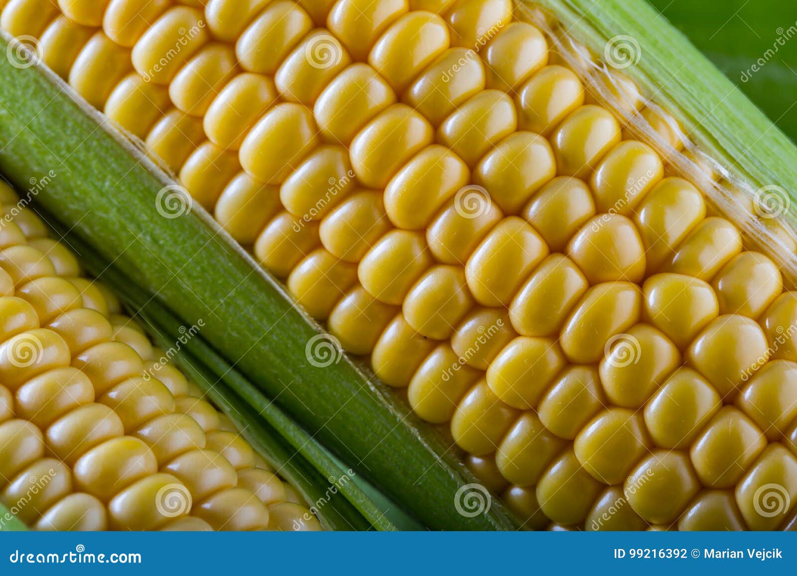 Corn. Fresh Corn on Old Rustic Oak Table Stock Photo - Image of golden ...