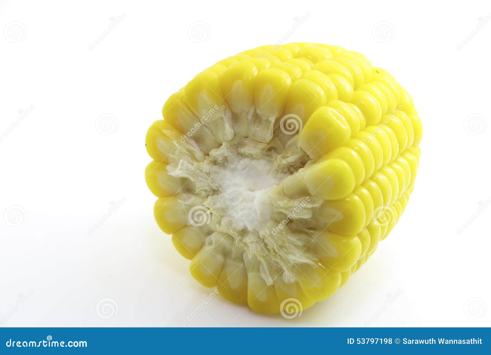 Corn fresh food stock photo. Image of crop, healthy, agriculture - 53797198