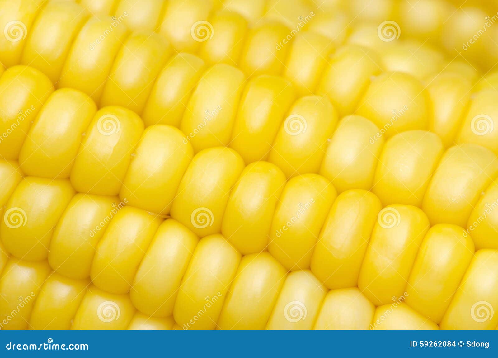 Corn stock photo. Image of horizontal, flavor, eating - 59262084