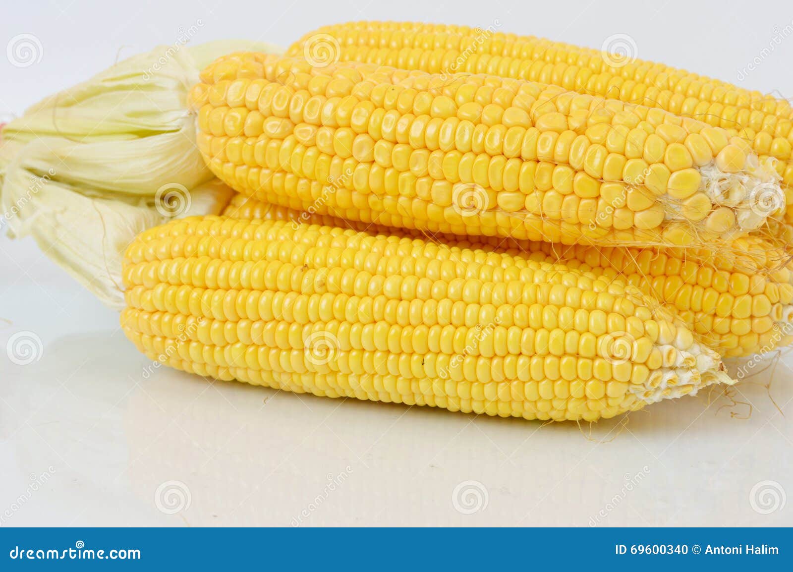 Corn fruit stock photo. Image of ingredient, kernels - 69600340