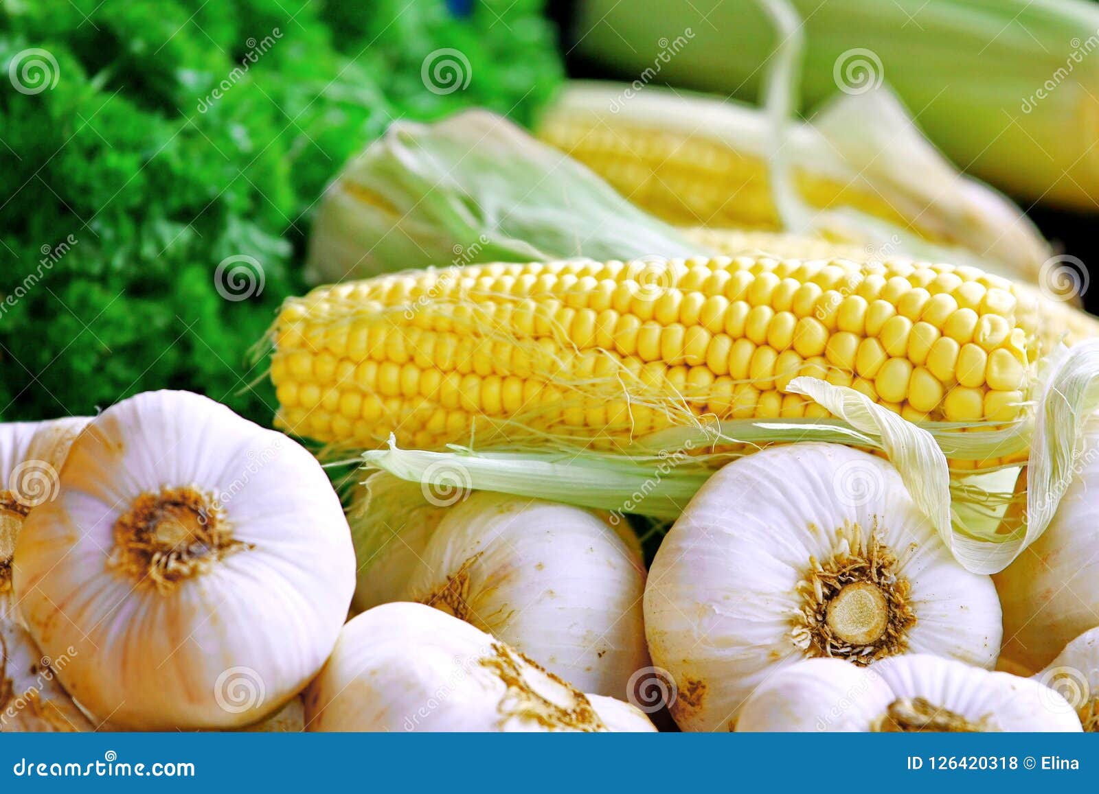 Corn and Garlic. Mixed Produce in Market Stock Photo - Image of ...