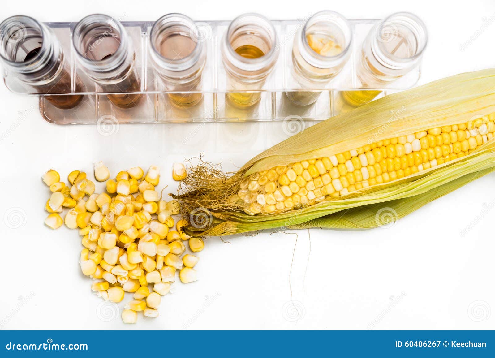 Corn Generated Ethanol Biofuel with Test Tubes on White Backgrou Stock ...